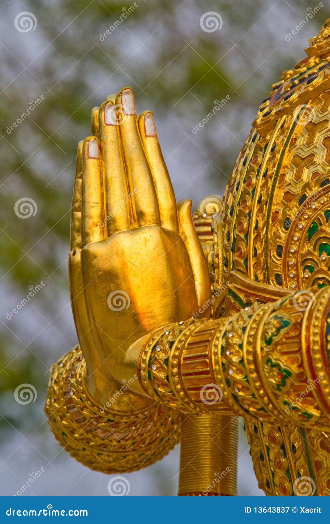 The Praying Hands of the Guardian Angel Stock Image - Image of hand ...