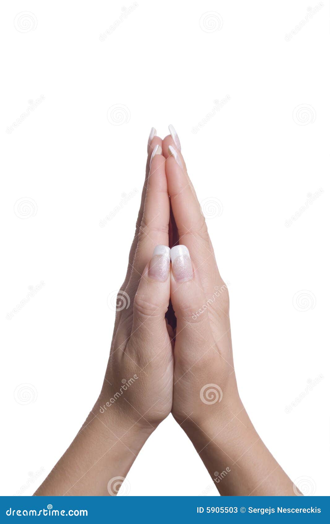 Praying hands isolated. stock image. Image of theology - 5905503