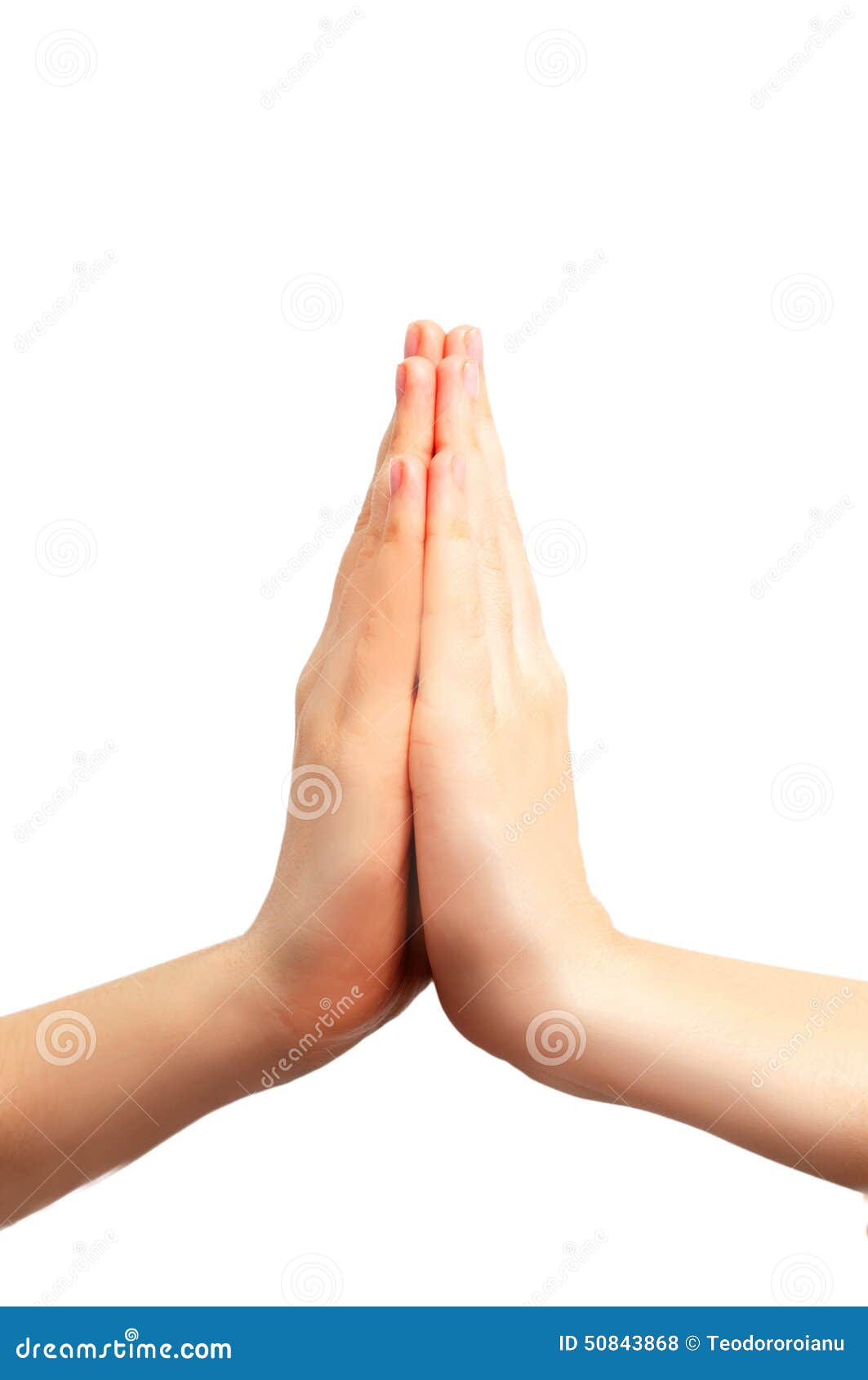 Praying hands stock photo. Image of isolated, hands, fingers - 50843868