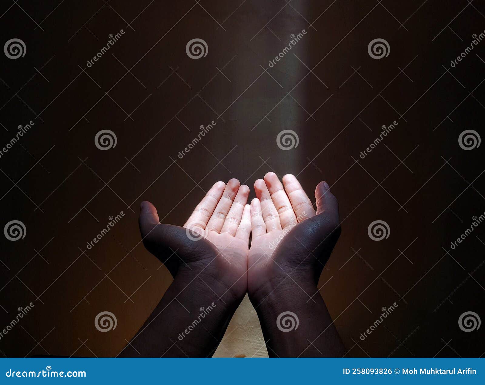 Praying Hands Praying, by the Light of the Sun Stock Photo - Image of ...