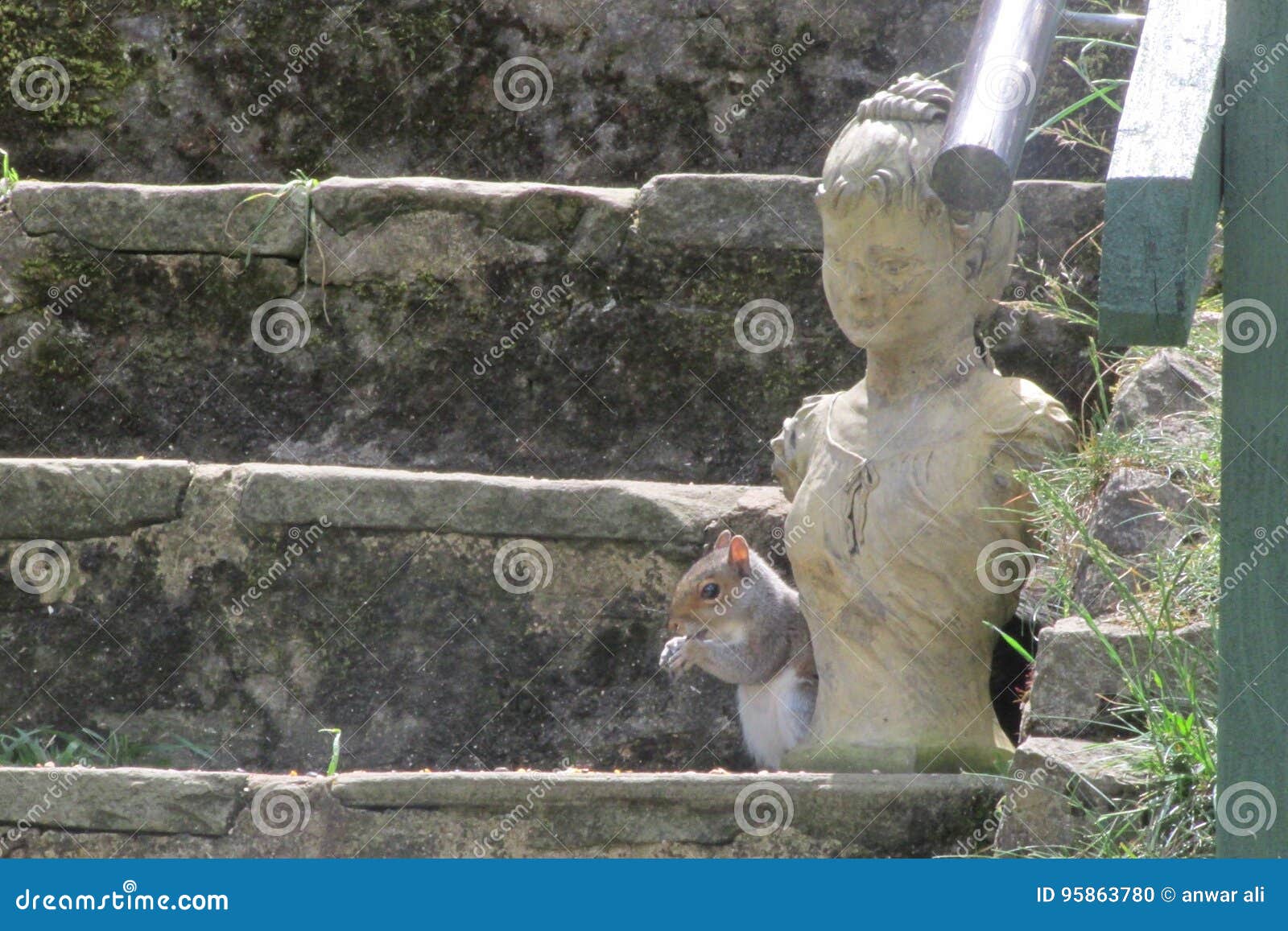 Praying lol stock photo. Image of sneaky, praying, stairs - 95863780