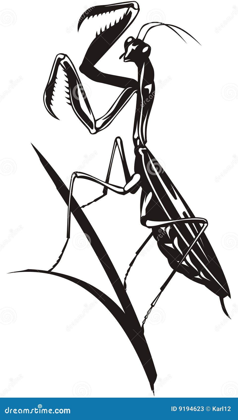 Praying mantis stock vector. Illustration of isolated - 9194623