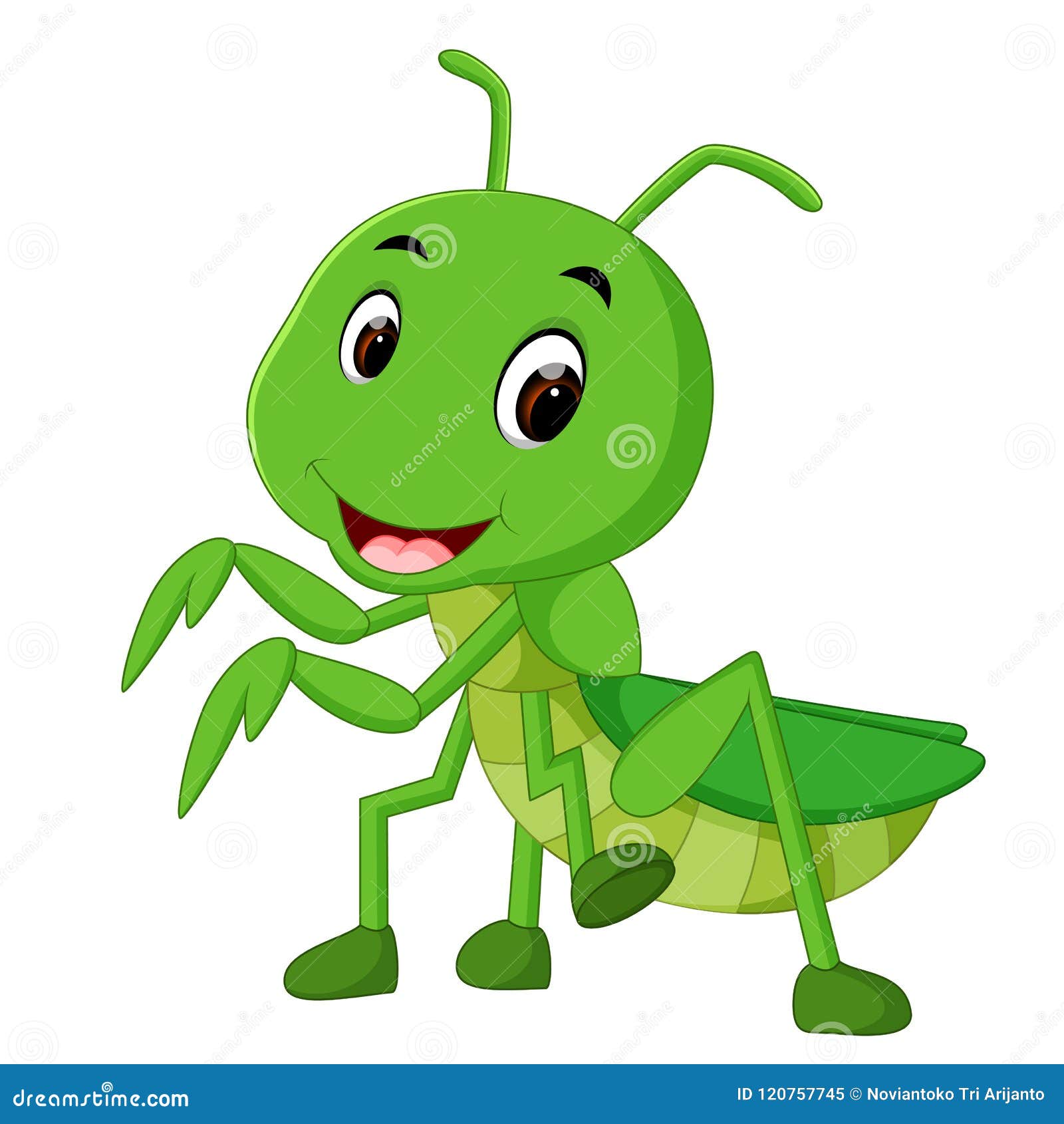 Praying Mantis In Various Poses And Colors Collection Vector Flat ...