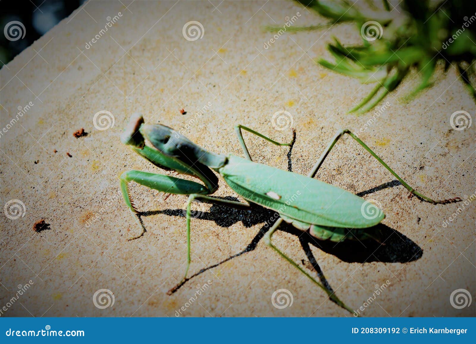 Praying Concrete Angel Cemetery Stock Photo | CartoonDealer.com #41633514