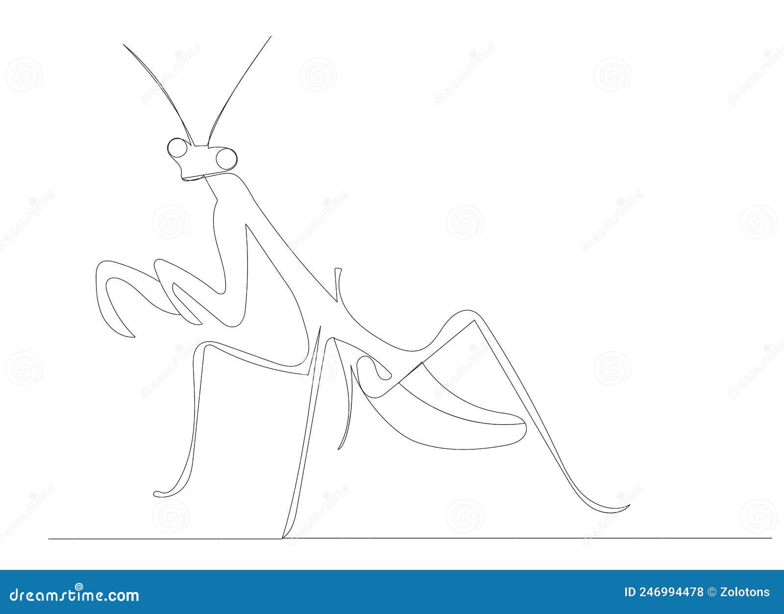 Mantis. Line Drawing. Black And White Cartoon Vector | CartoonDealer ...