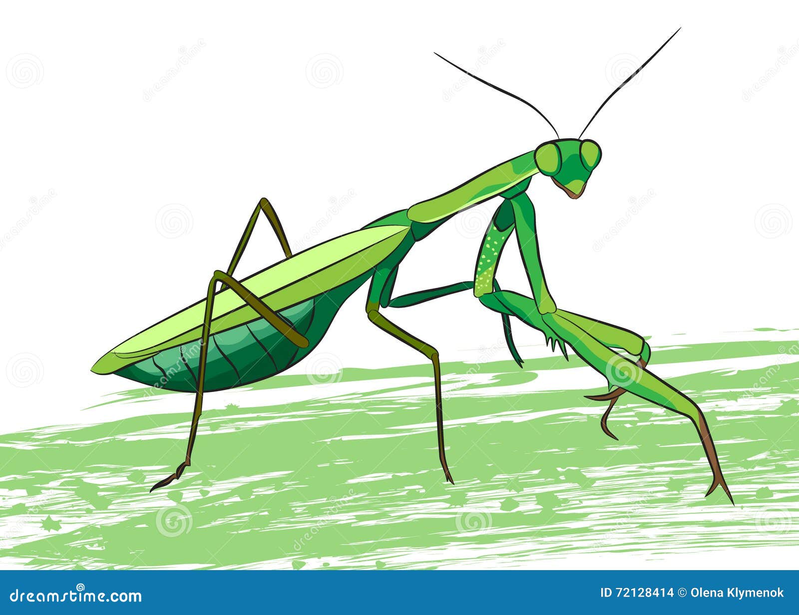 Praying mantis. stock vector. Illustration of predator - 72128414