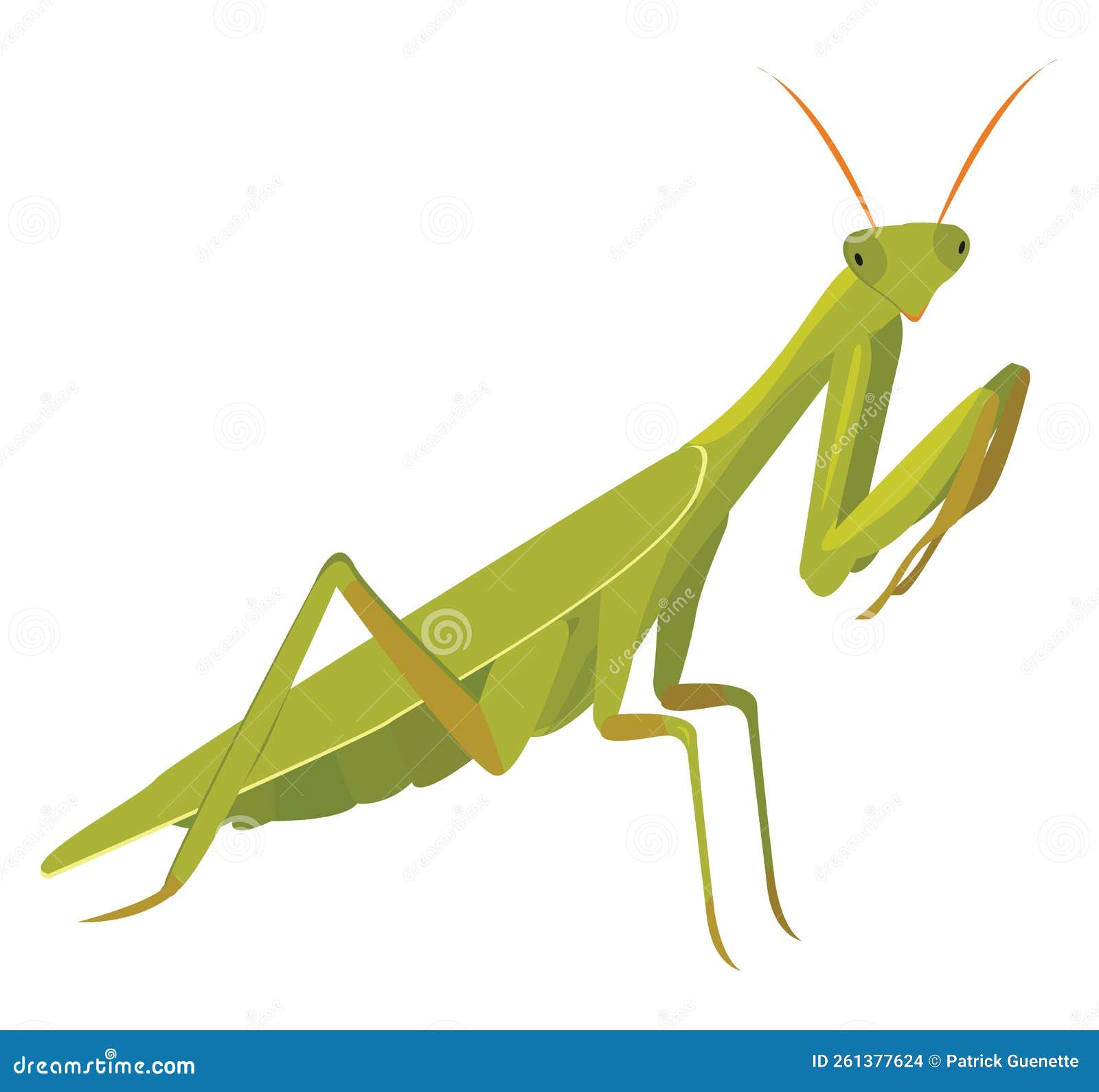 Praying mantis, icon stock vector. Illustration of wildlife - 261377624