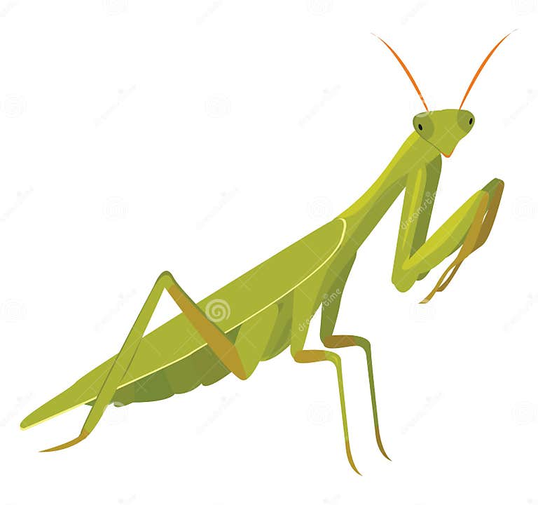 Praying mantis, icon stock vector. Illustration of wildlife - 261377624