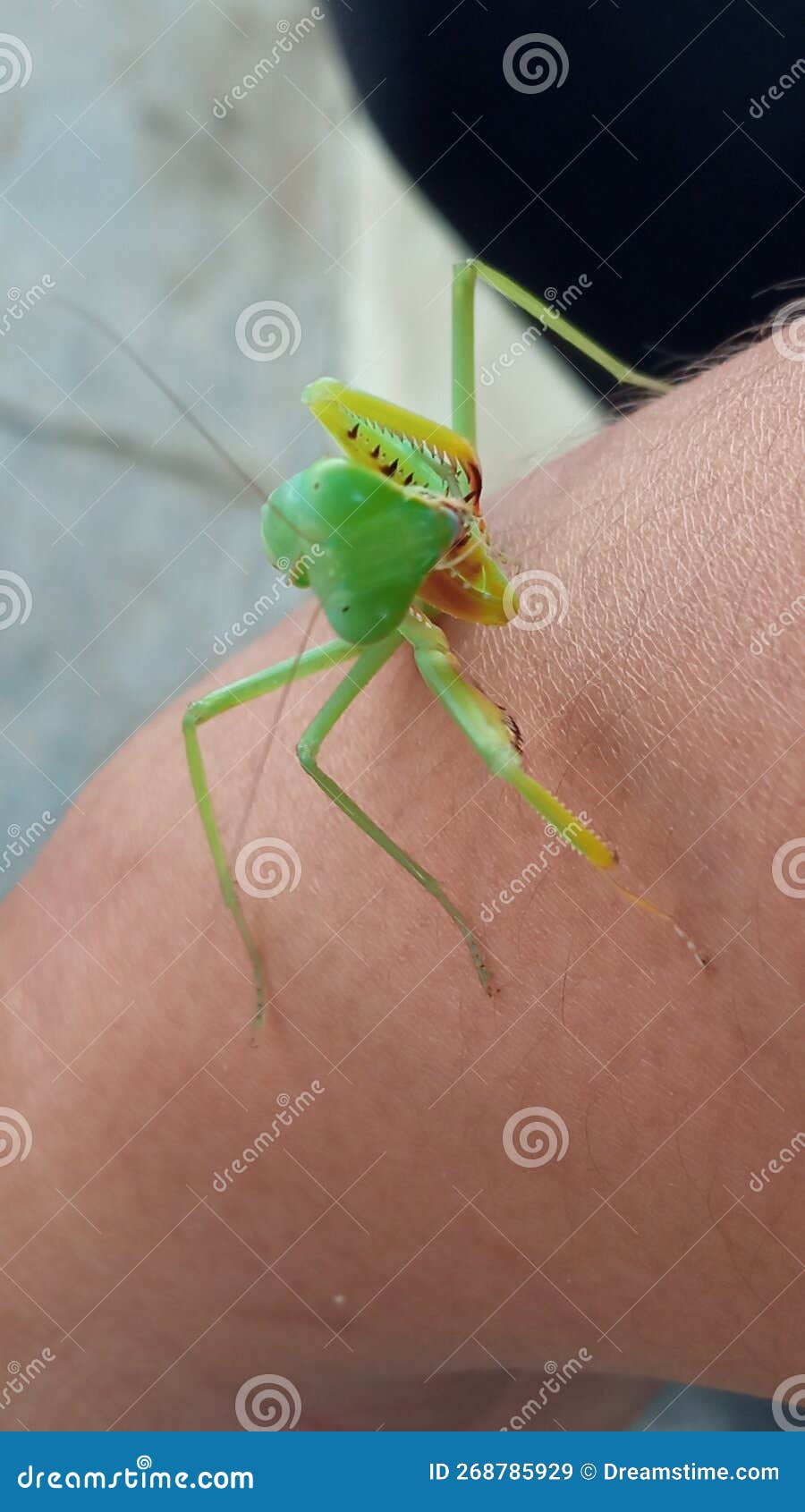 Rotating Head In A High Precision Mechanics Plant At CNC Lathe Royalty-Free Stock Photography ...
