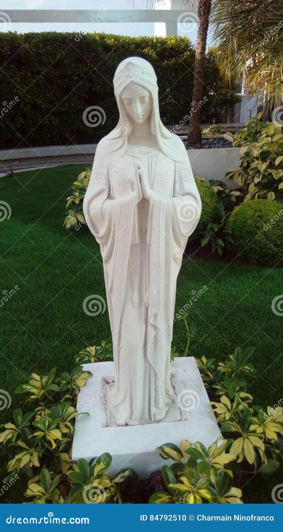 Praying mother mary stock photo. Image of mary, heal - 84792510