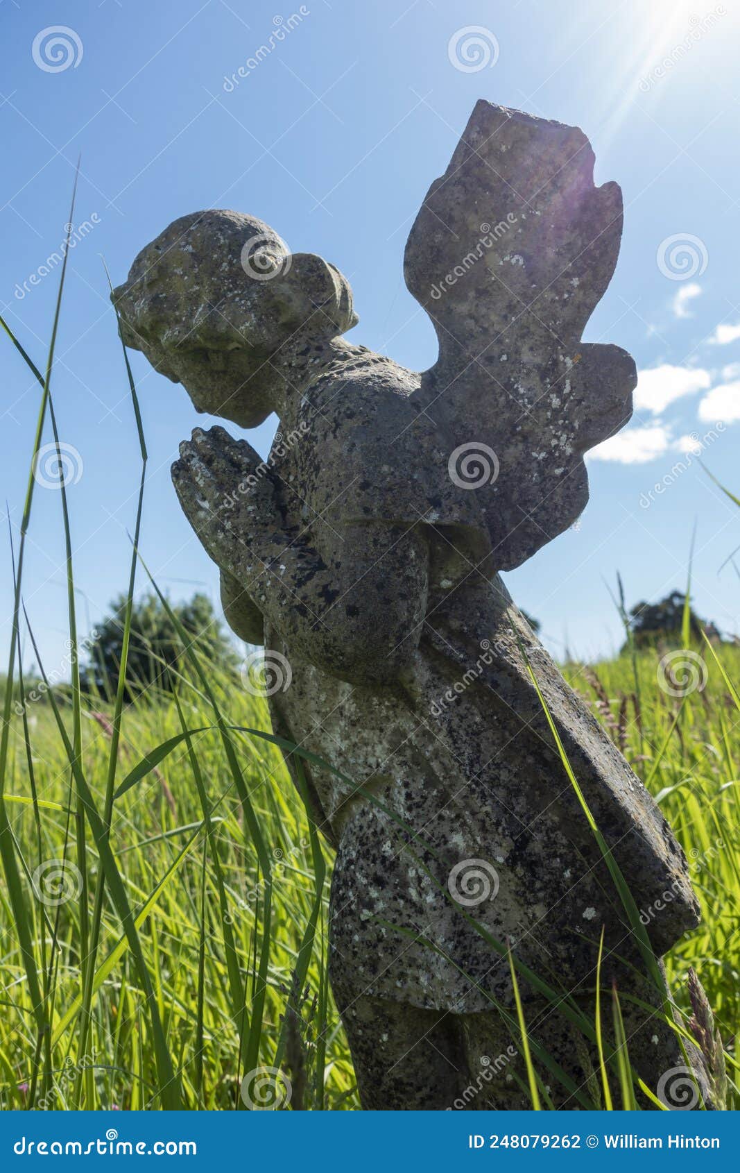 Praying Stone Angel in a Field of Grass with Blue Sunny Sky. Stock ...