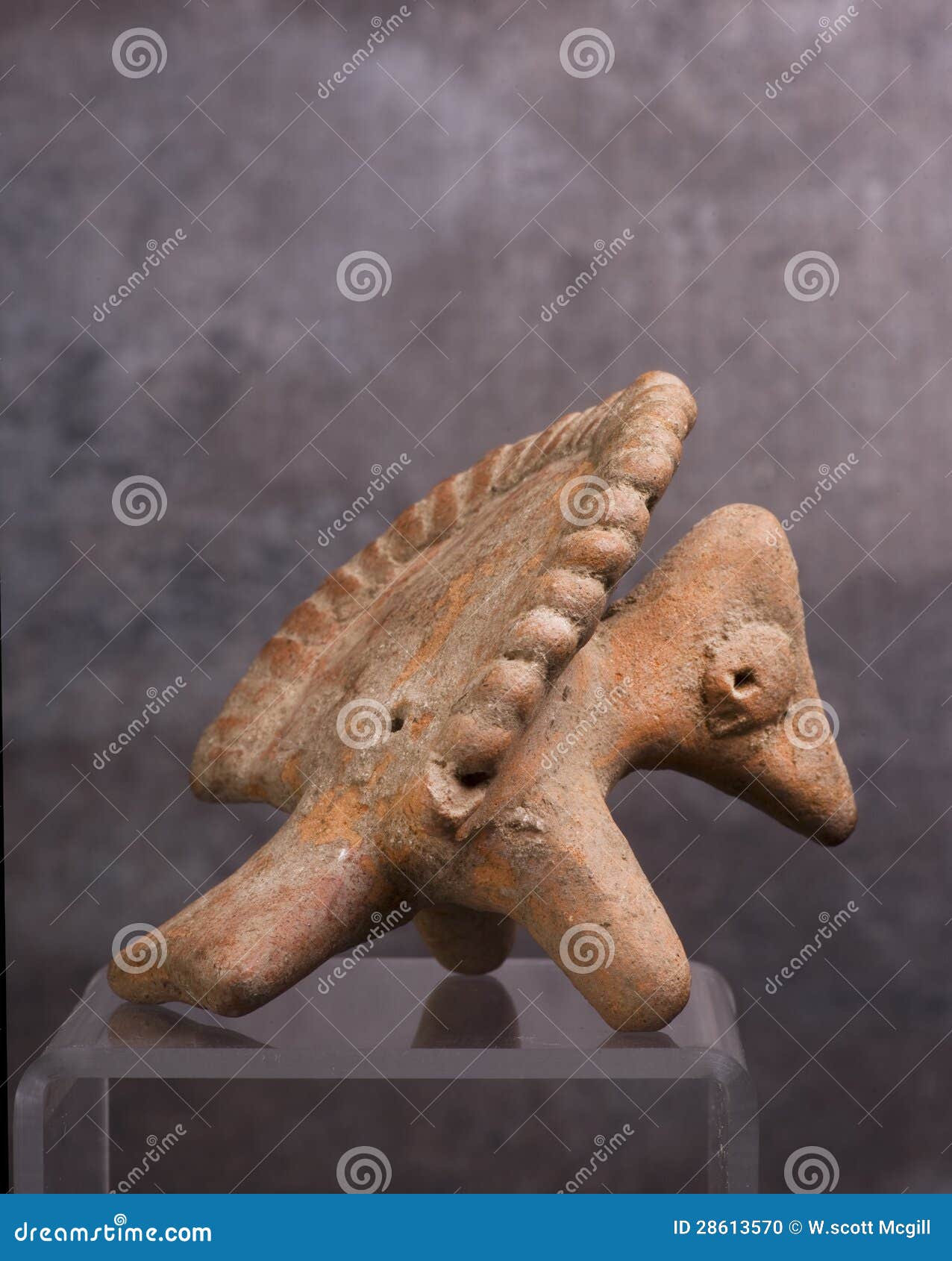 Mayan Bird Symbol Editorial Photo | CartoonDealer.com #41269011