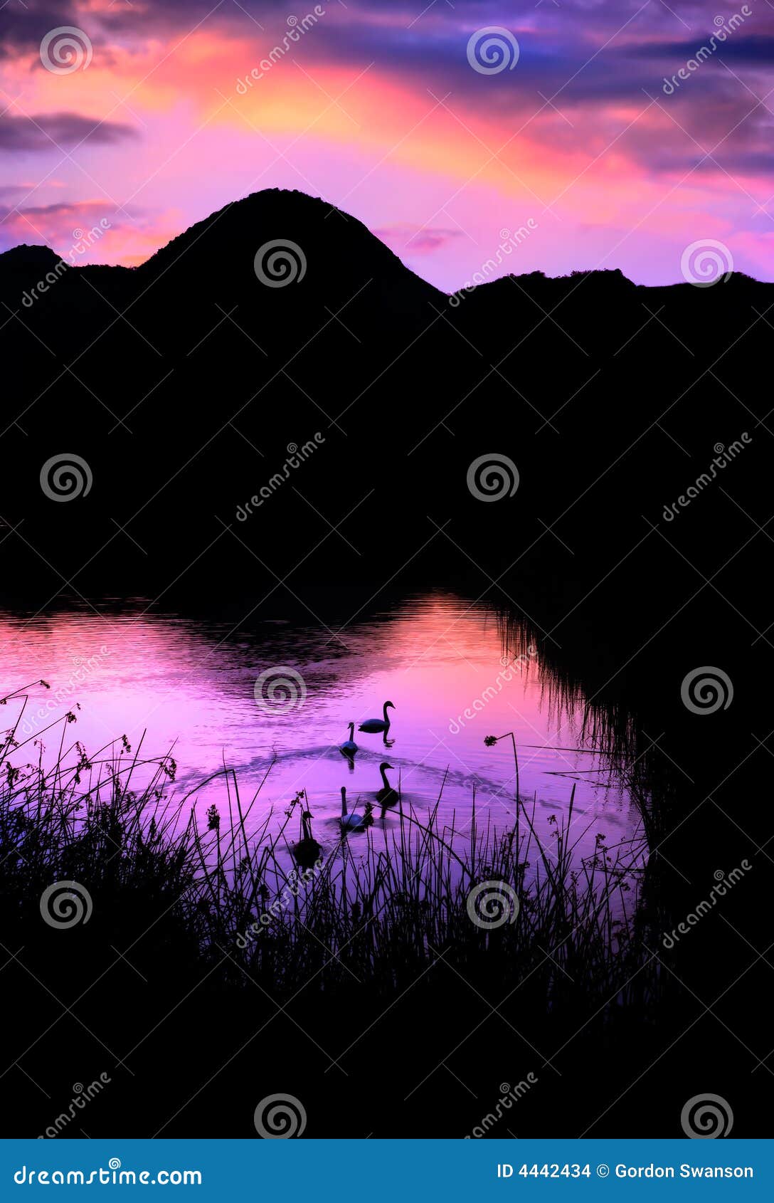 Pre-dawn silhouettes stock photo. Image of awaking, mountain - 4442434