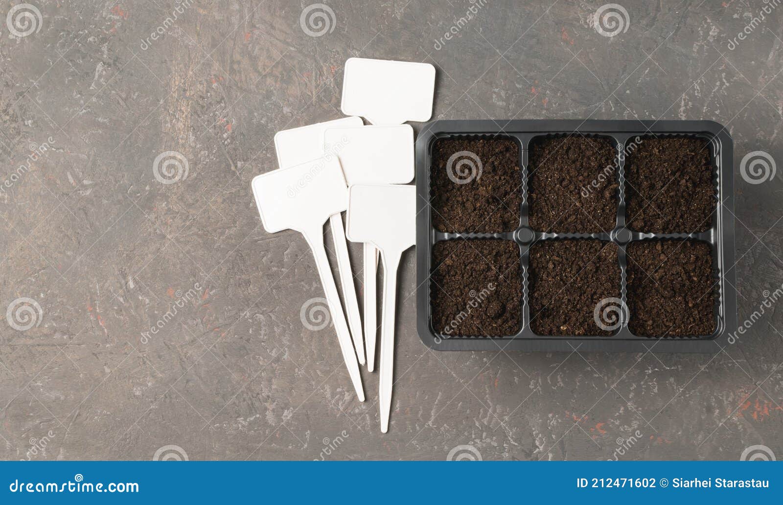 Pre-planting of Plants in the Ground before Spring Stock Photo - Image ...