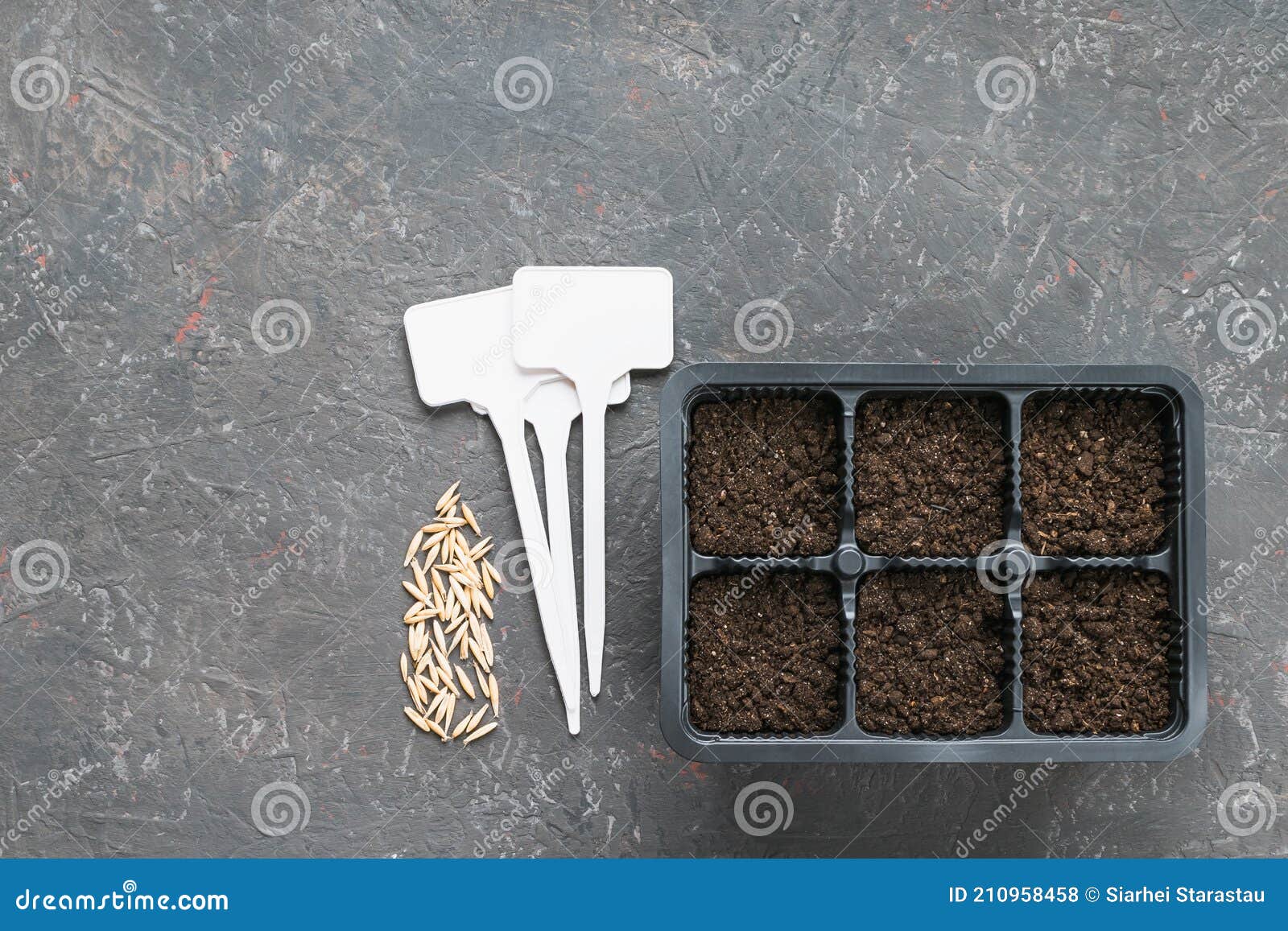 Pre-planting of Plants in the Ground before Spring Stock Photo - Image ...