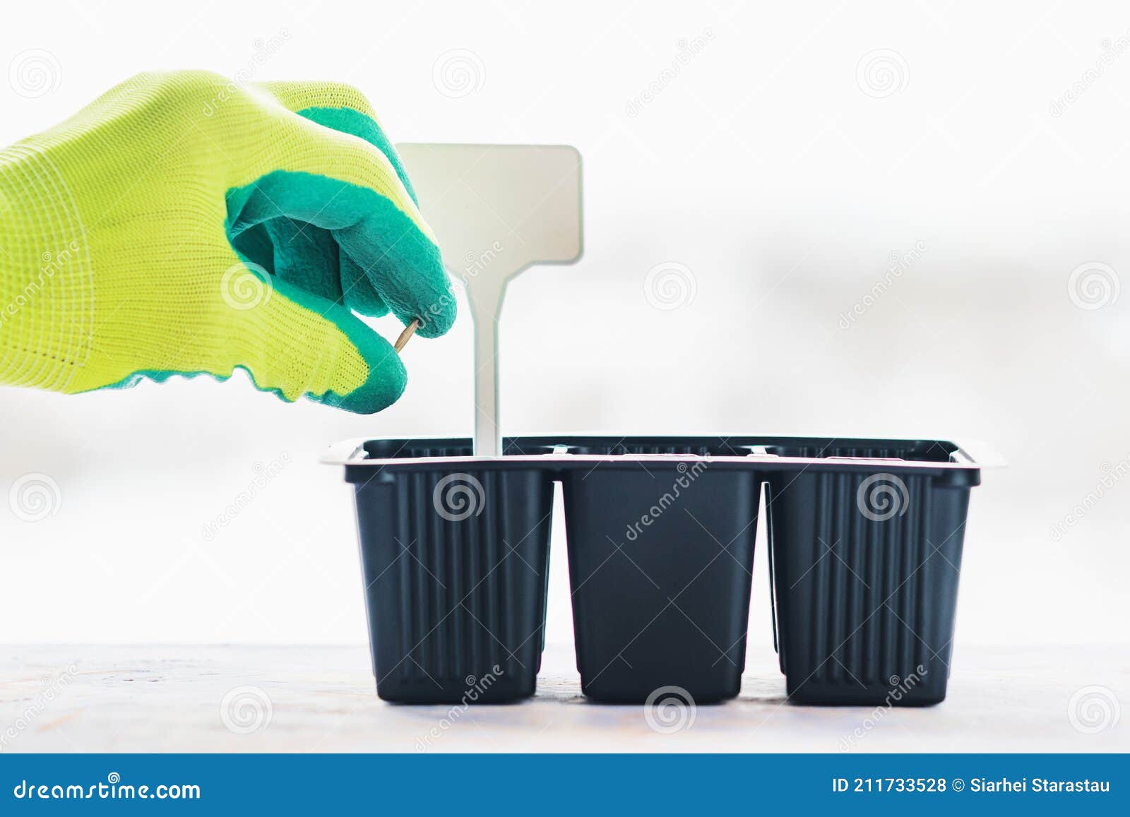 Pre-planting of Plants in the Ground before Spring Stock Photo - Image ...