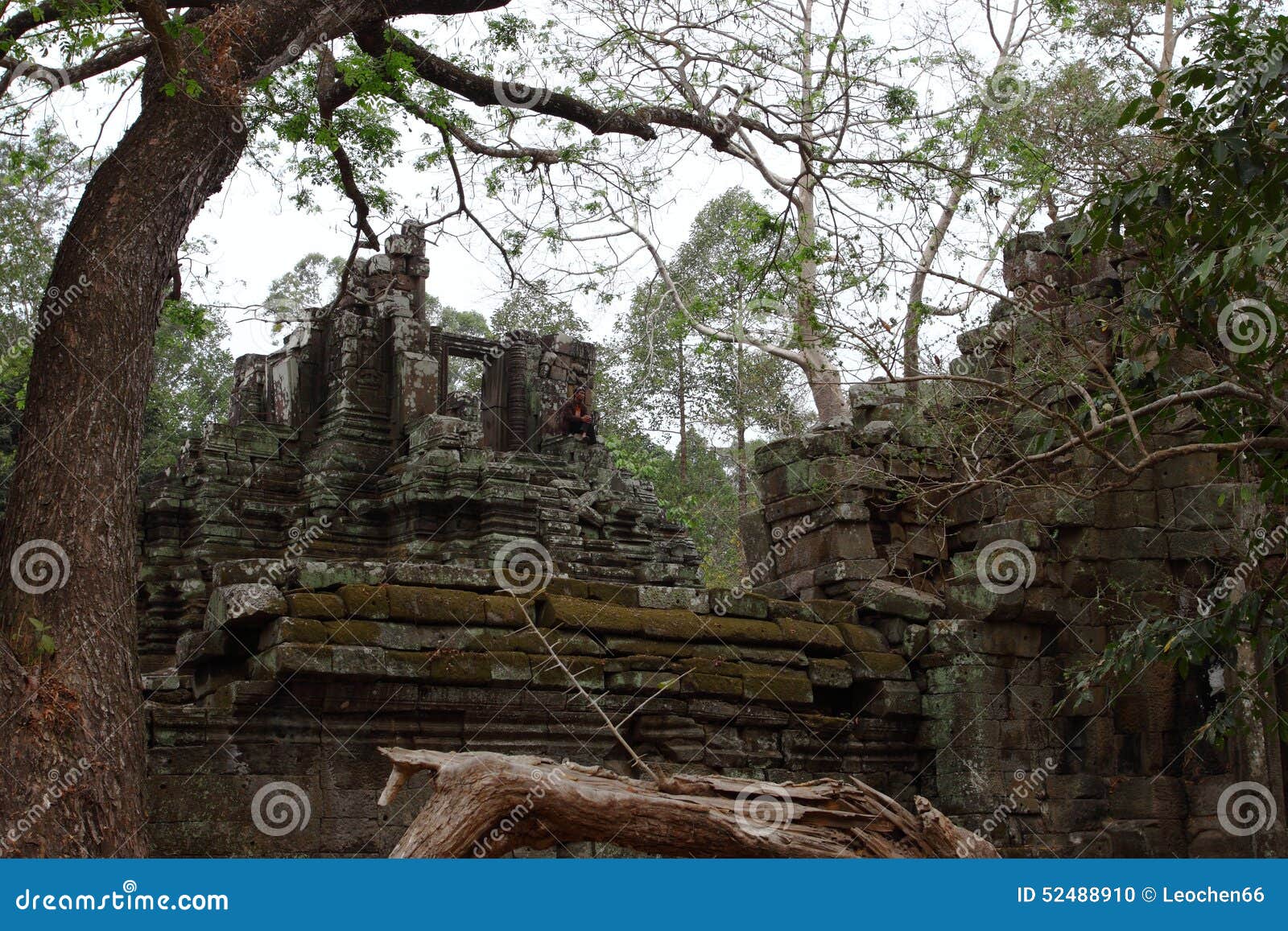 Preah Pithu Group, Angkor Thom Stock Photo - Image of kedi, buddhism ...