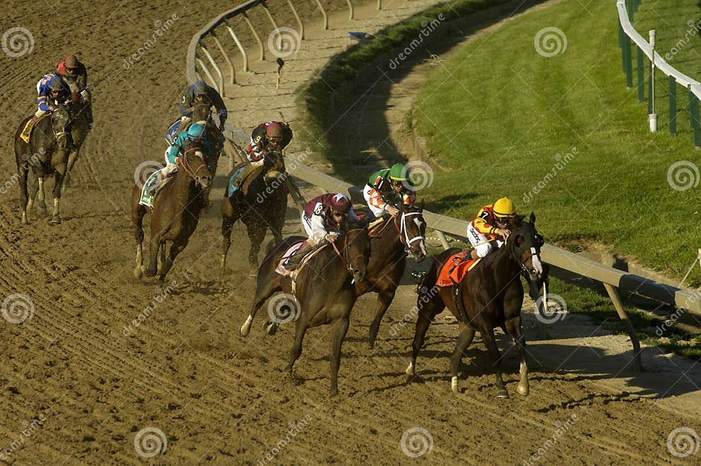 The Preakness editorial image. Image of crown, horse - 10653235