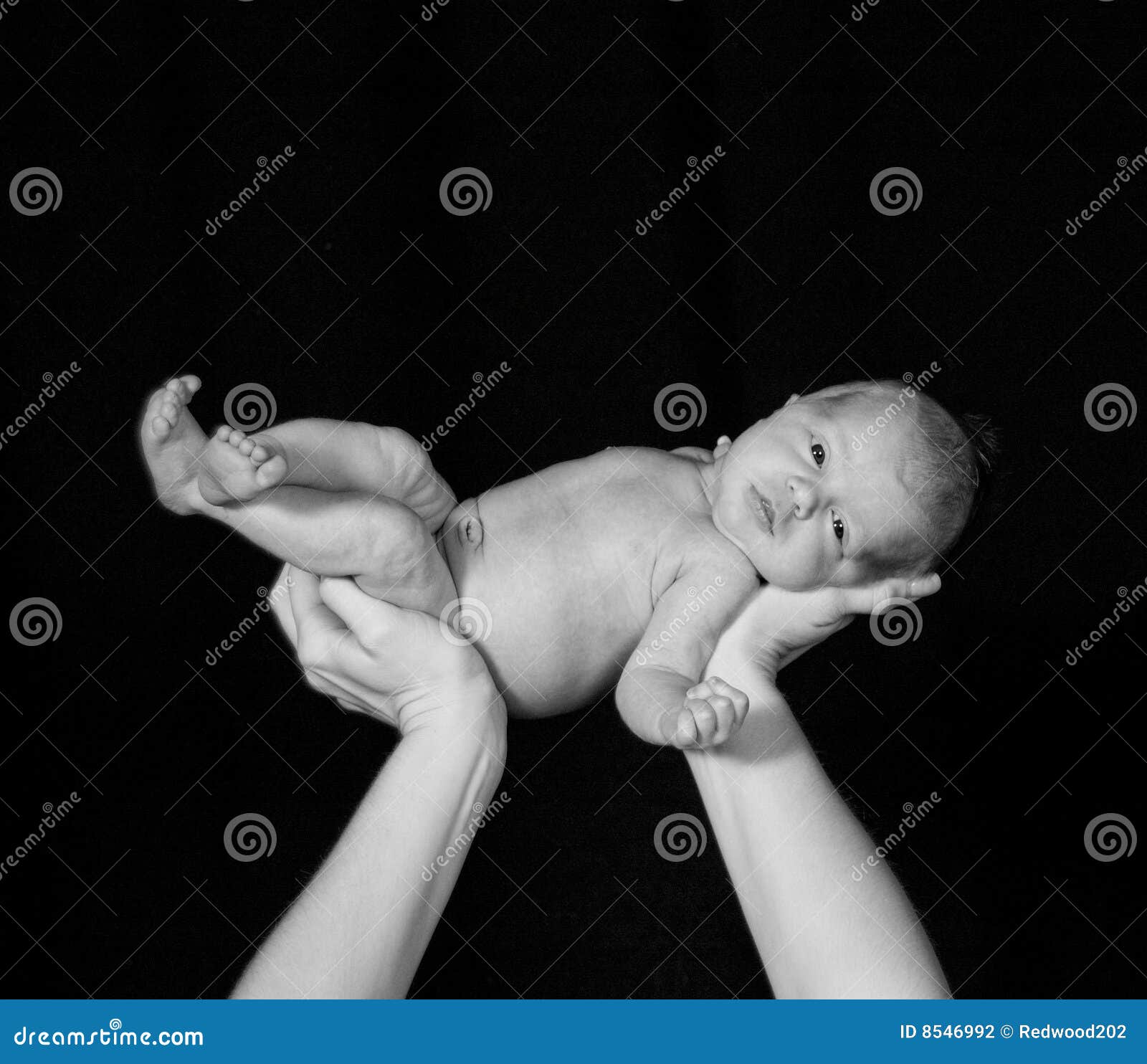 Precious Baby stock photo. Image of precious, love, loving - 8546992