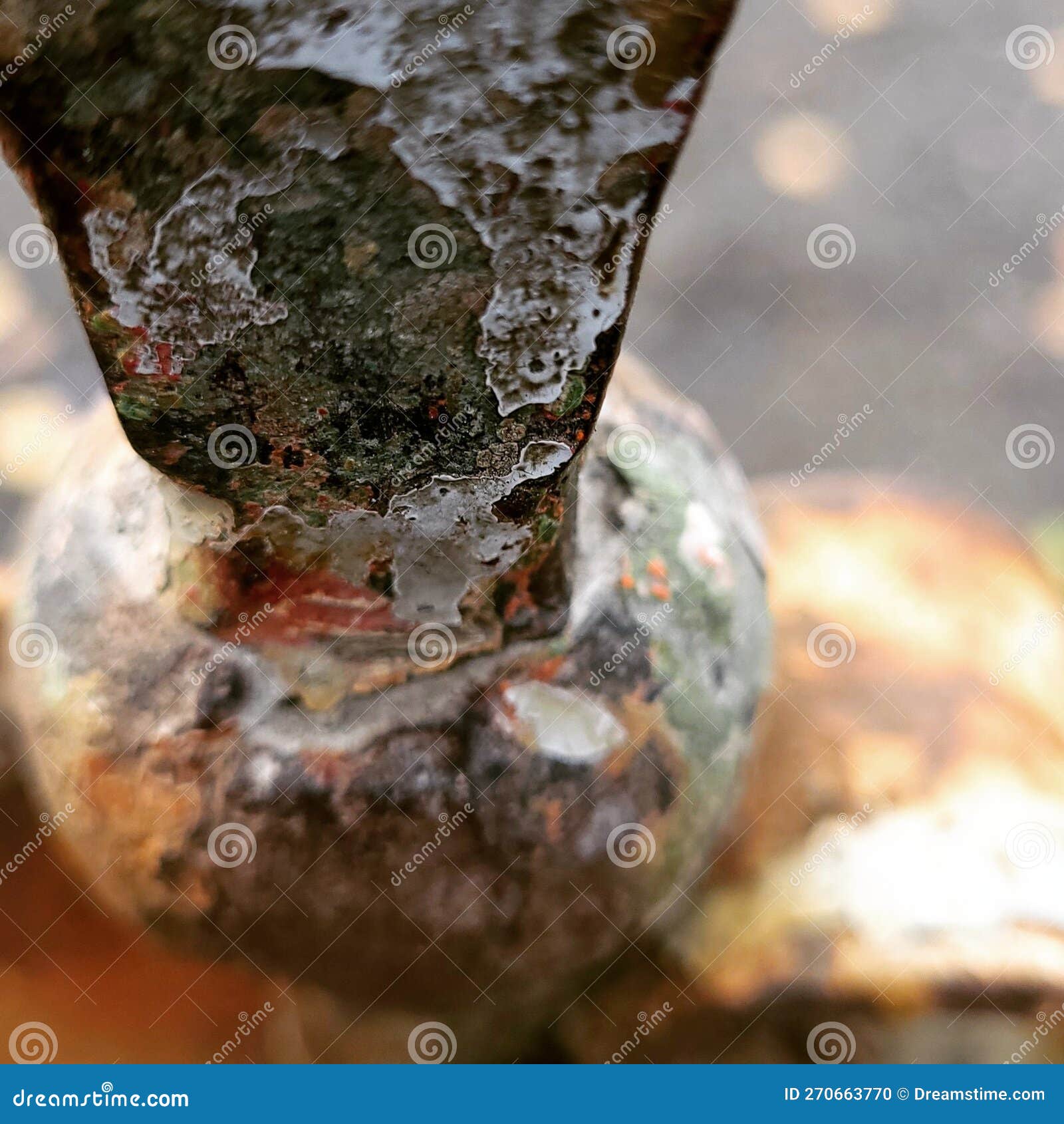 A Precious Iron Gate, Much Older Than Me.. Stock Photo - Image of iron ...