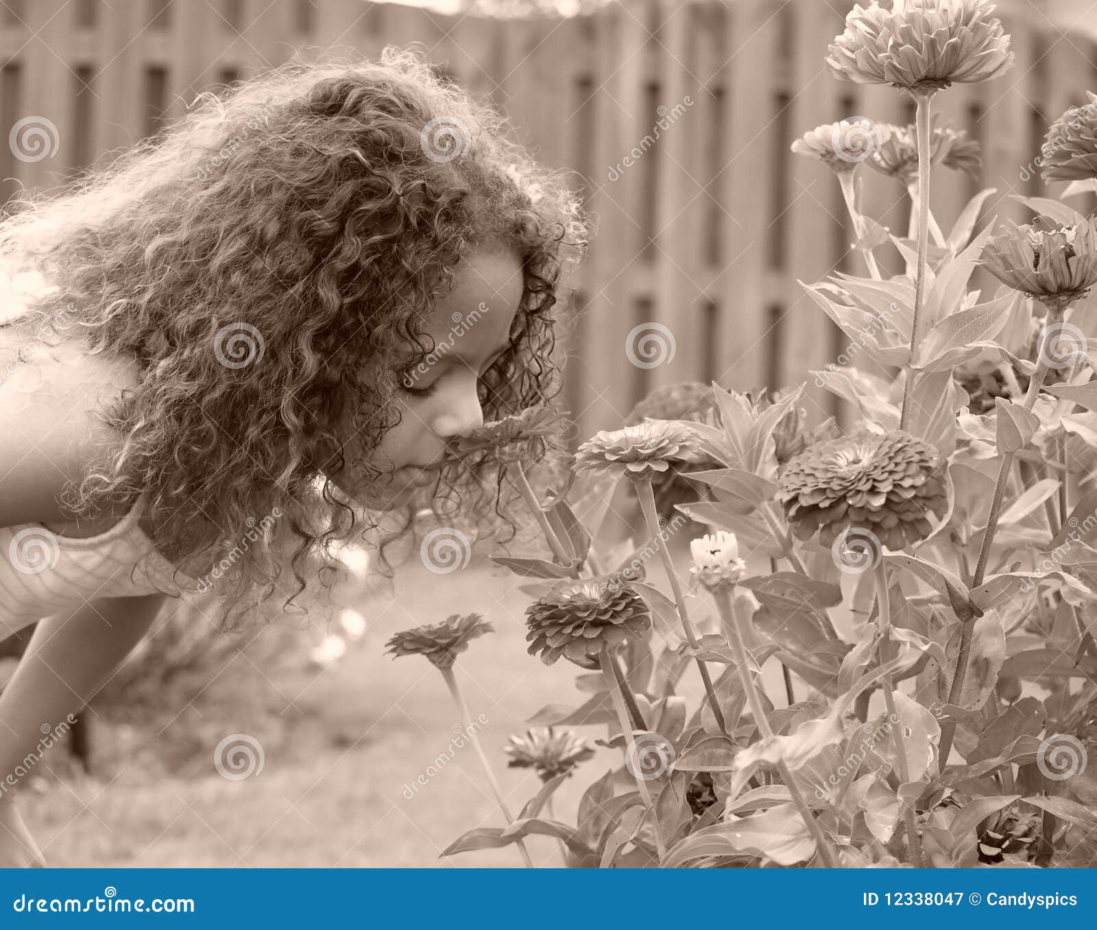 Precious Little Girl stock image. Image of nature, innocent - 12338047