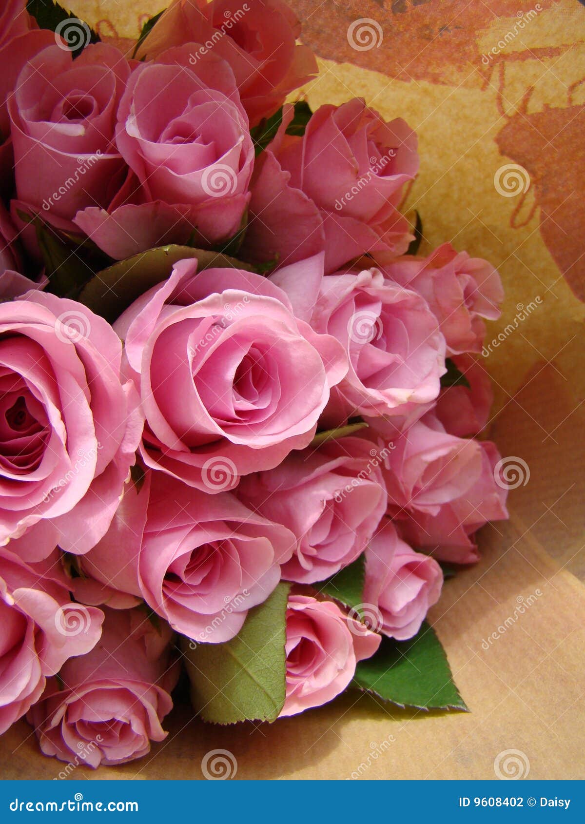 Precious pinks stock photo. Image of textured, gift, holidays - 9608402