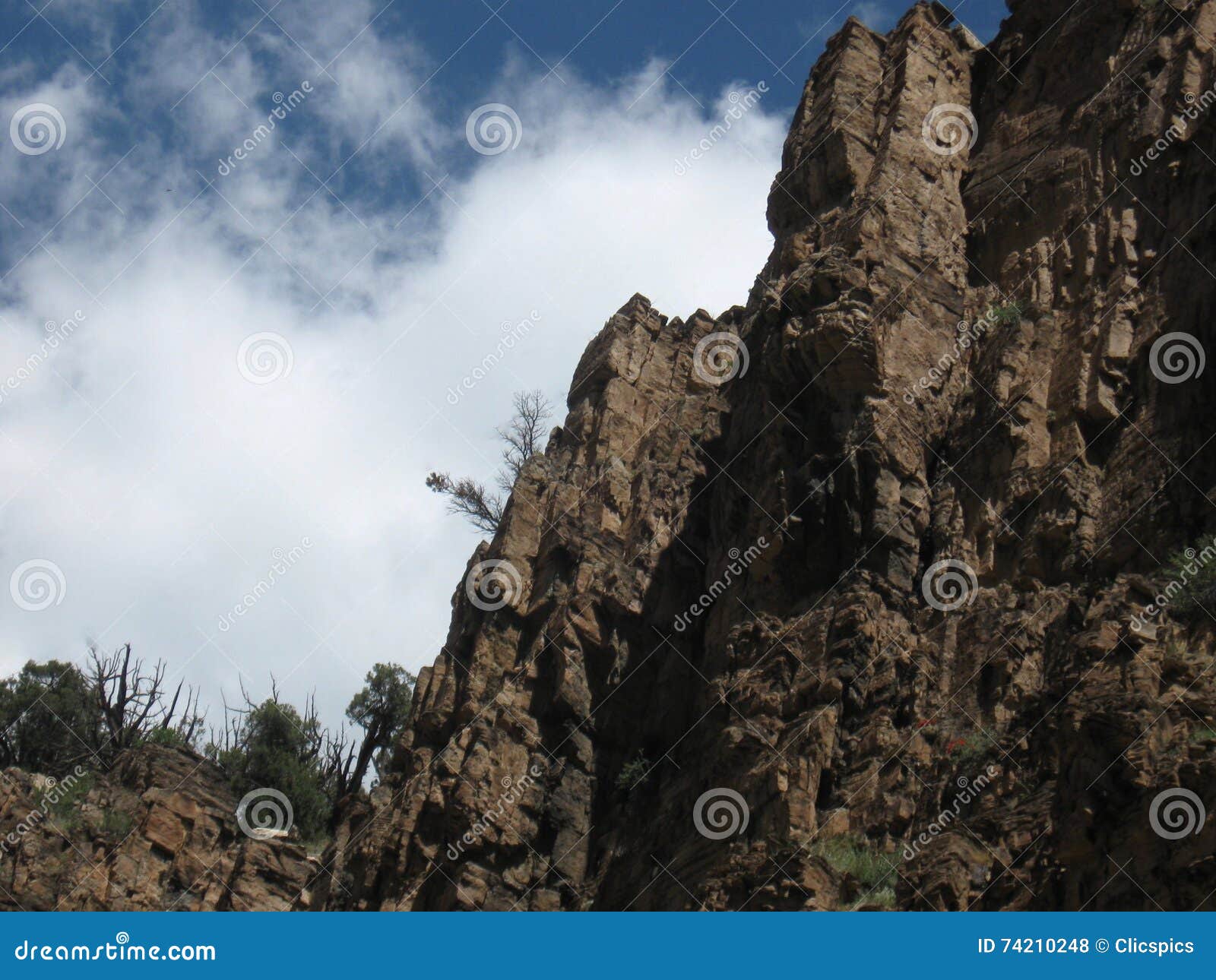 Royalty Free Images, Cartoons, Illustrations And Photos Designed By ...