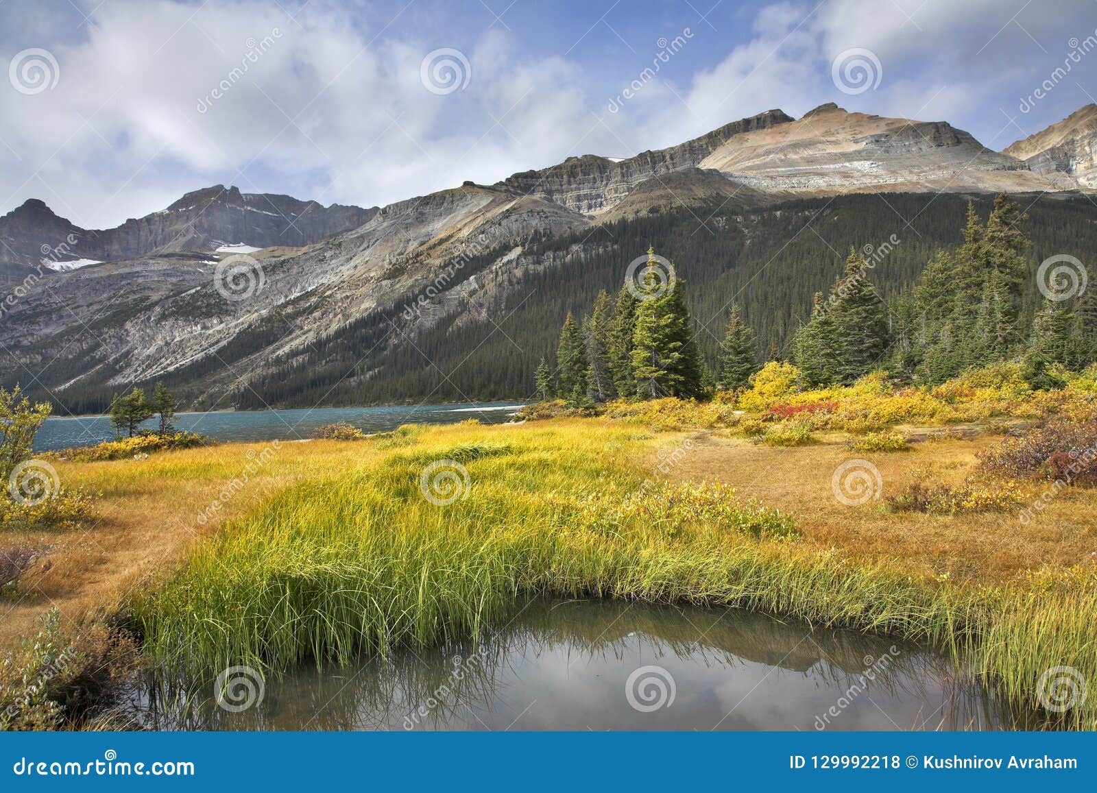 Precise a landscape. stock photo. Image of leisure, park - 129992218