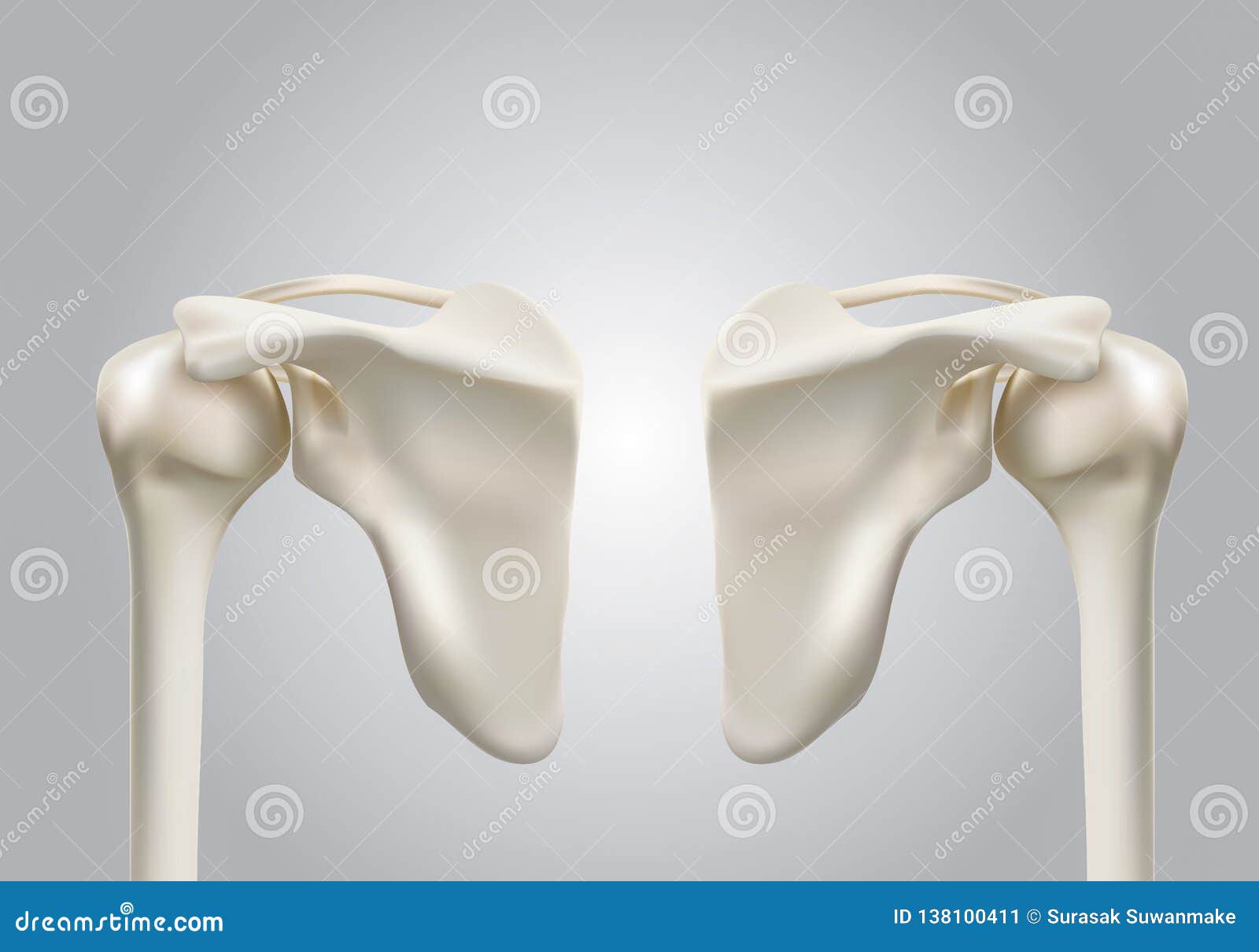 Precise Cartoons, Illustrations & Vector Stock Images - 14406 Pictures ...