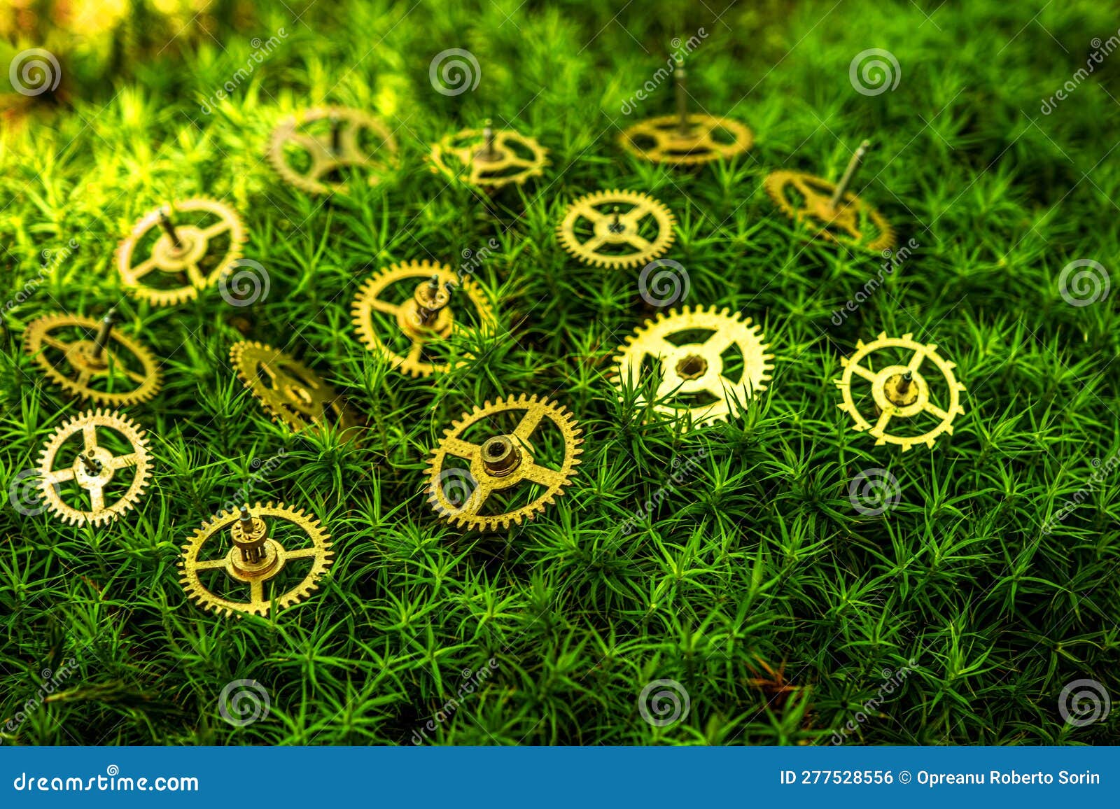 Precision Engineered Toothed Brass Metal Cog Wheels on Green Moss Stock ...