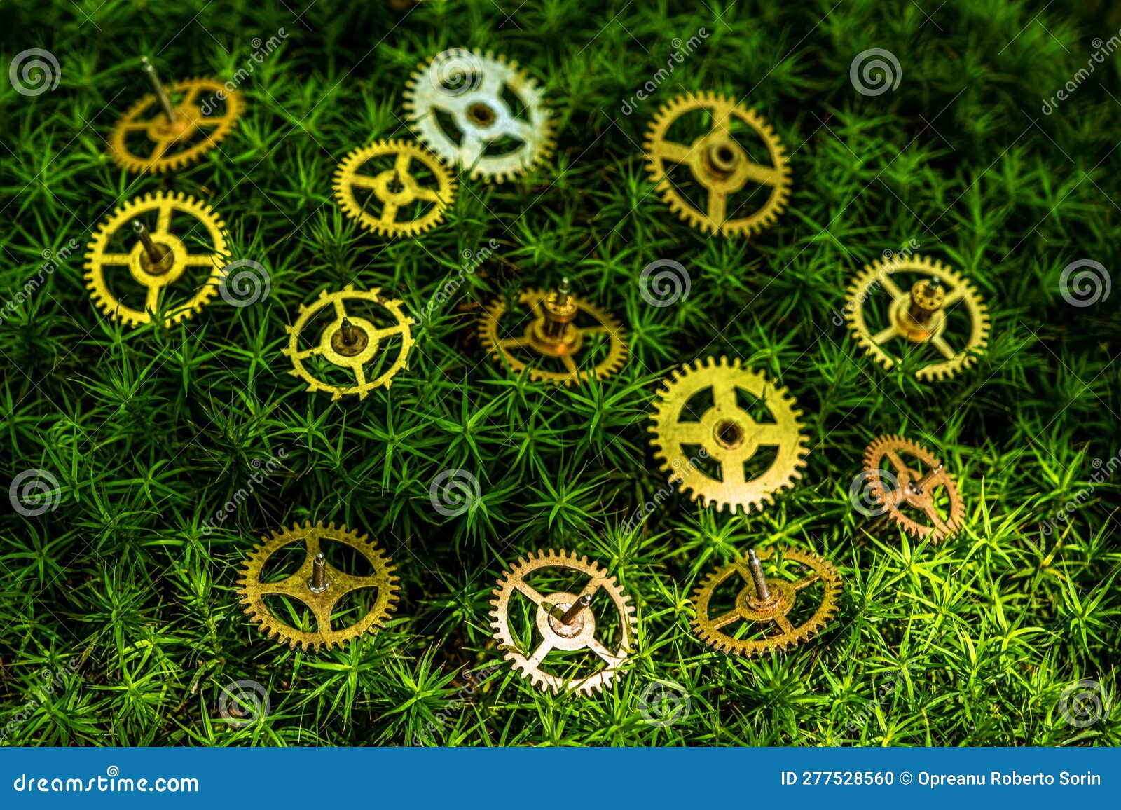 Precision Engineered Toothed Brass Metal Cog Wheels on Green Moss Stock ...