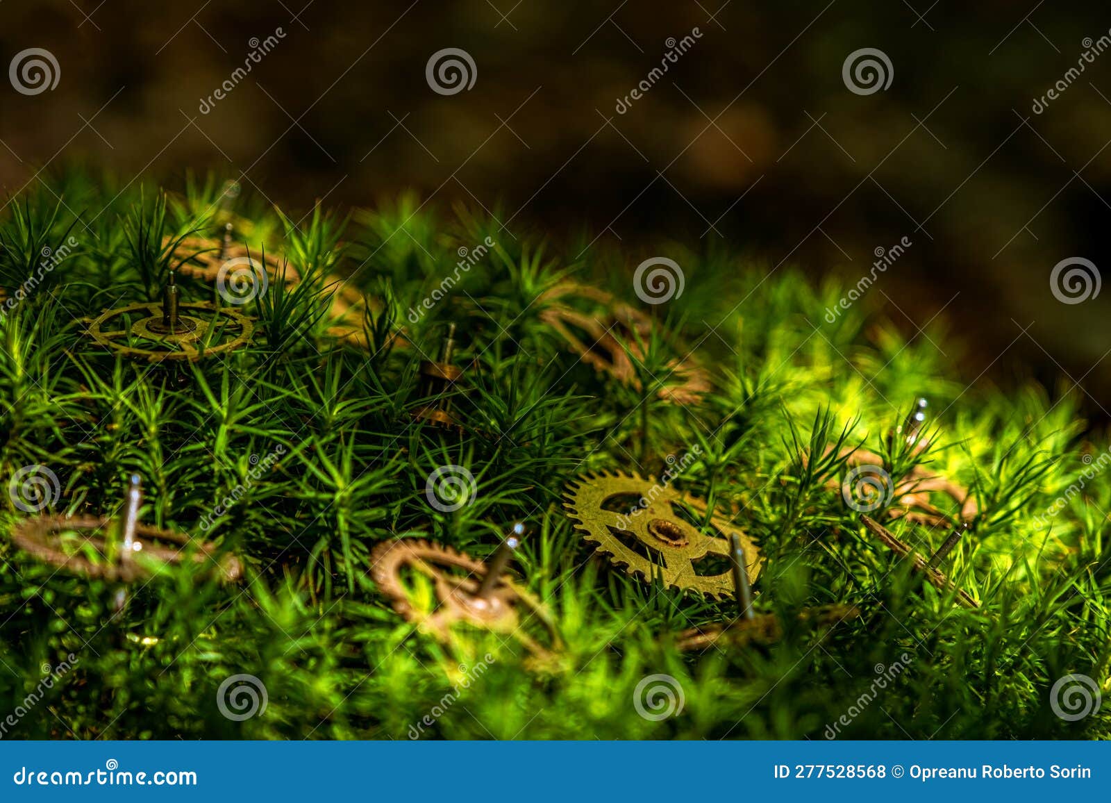 Precision Engineered Toothed Brass Metal Cog Wheels on Green Moss Stock ...