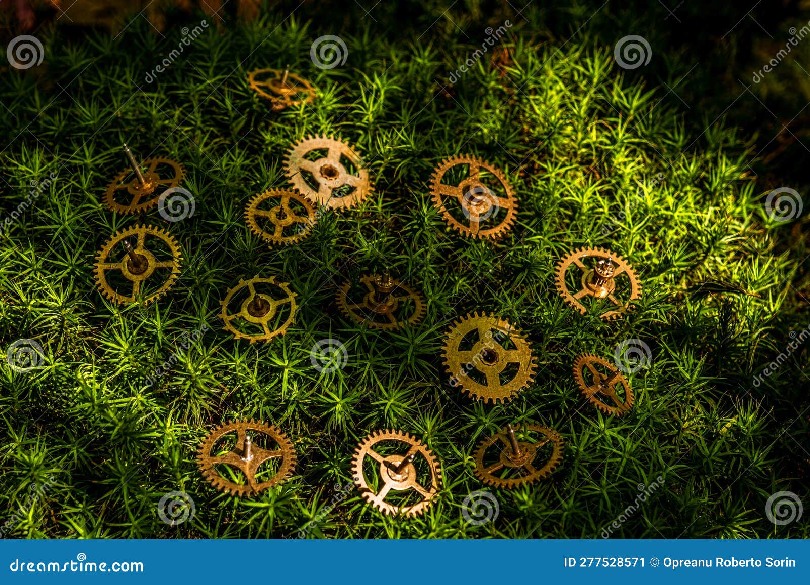 Precision Engineered Toothed Brass Metal Cog Wheels on Green Moss Stock ...