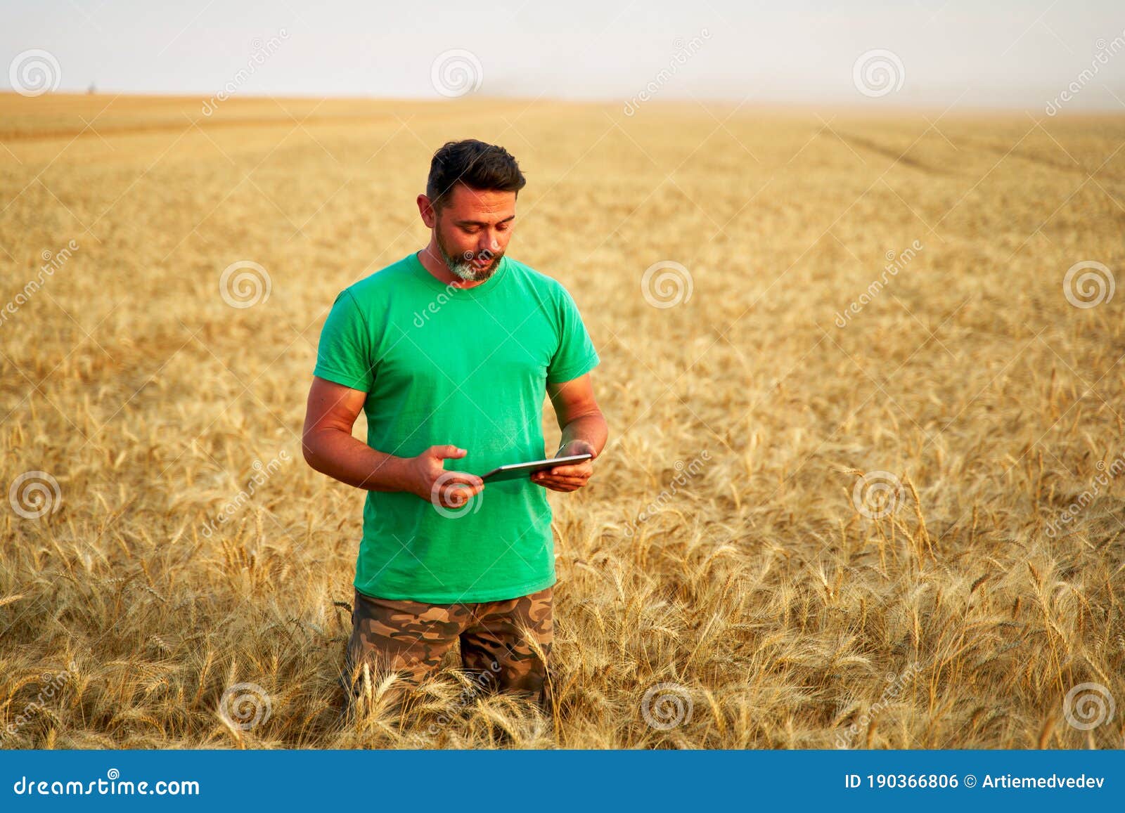 Precision Farming. Farmer Holds Tablet Using Online Data Management ...