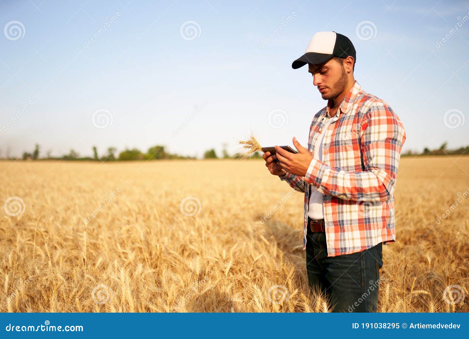 Precision Farming. Farmer Holding Tablet Pc, Using Online Data ...