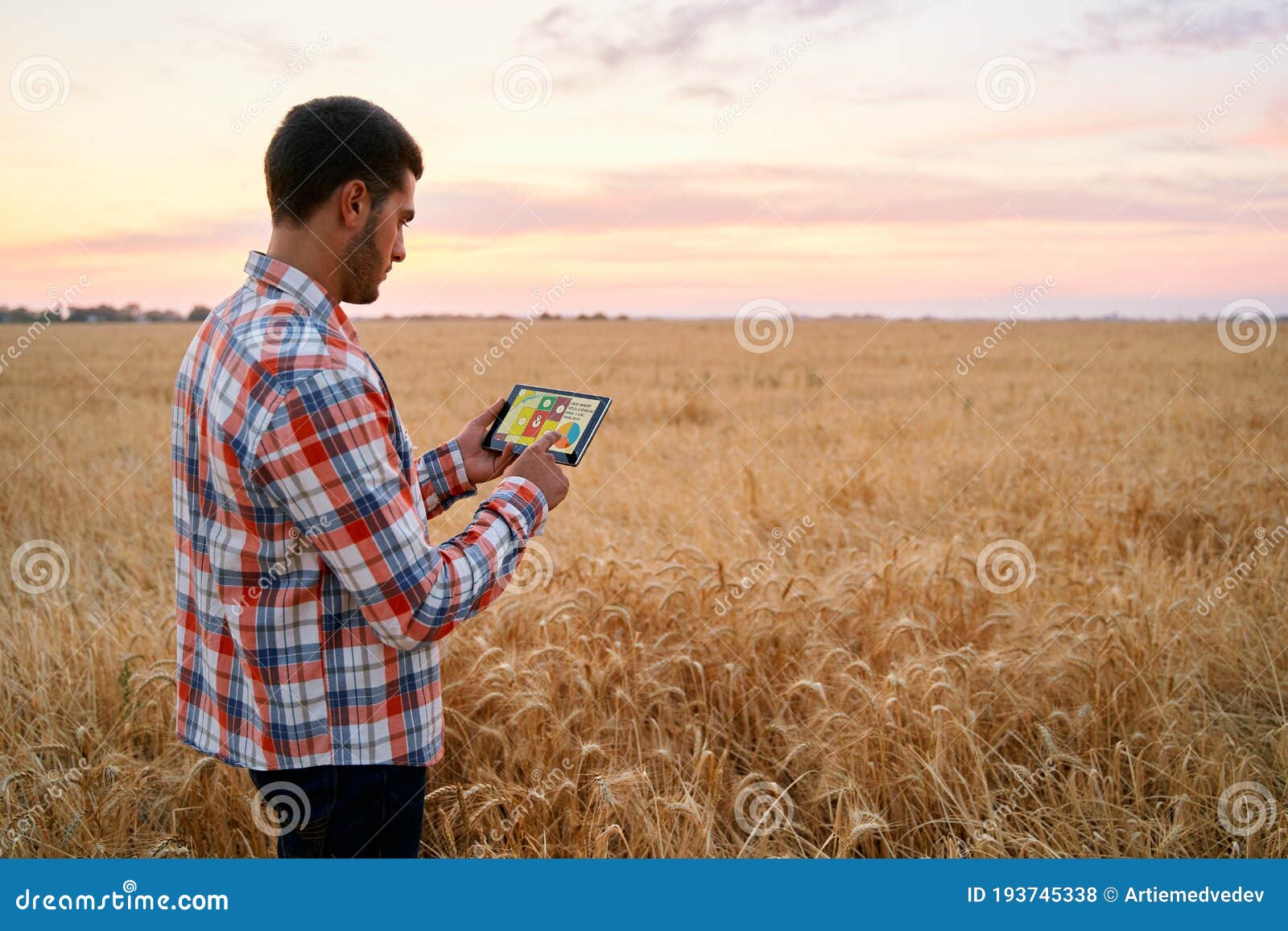 Precision Farming. Farmer Holds Tablet Using Online Data Management ...