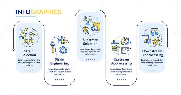 Precision Fermentation Stages Rectangle Infographic Template Stock ...