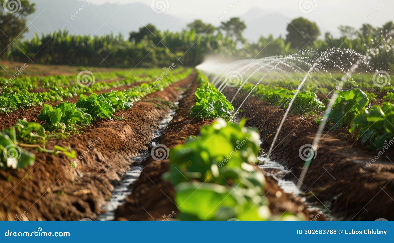 Precision Irrigation Systems and Agricultural Practices Contributing To ...