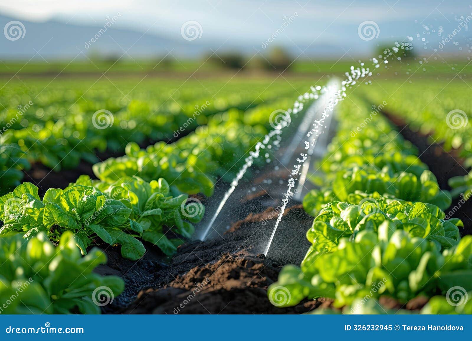 Precision Irrigation Systems and Agricultural Practices Contributing To ...