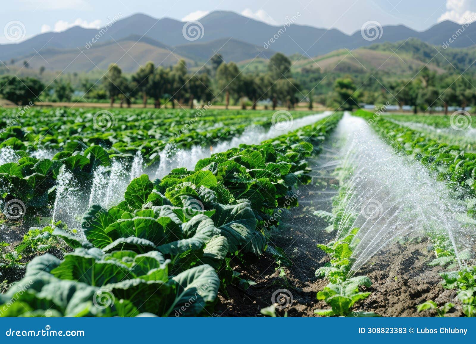 Precision Irrigation Systems for Efficient Water Use in Agriculture ...