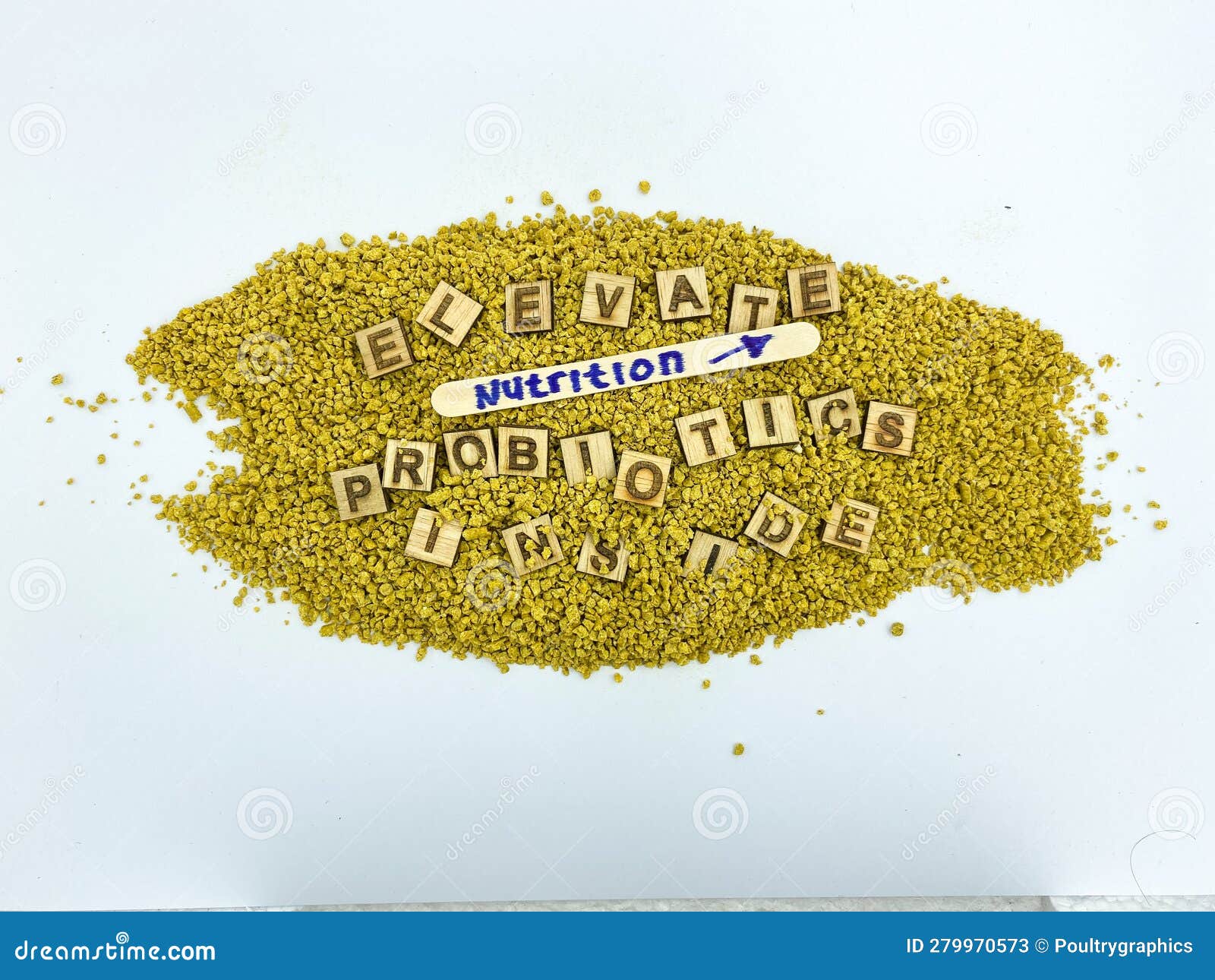 Antibiotic Free In Poultry Feed, Animal Farm Feed, Brochure, Poster ...