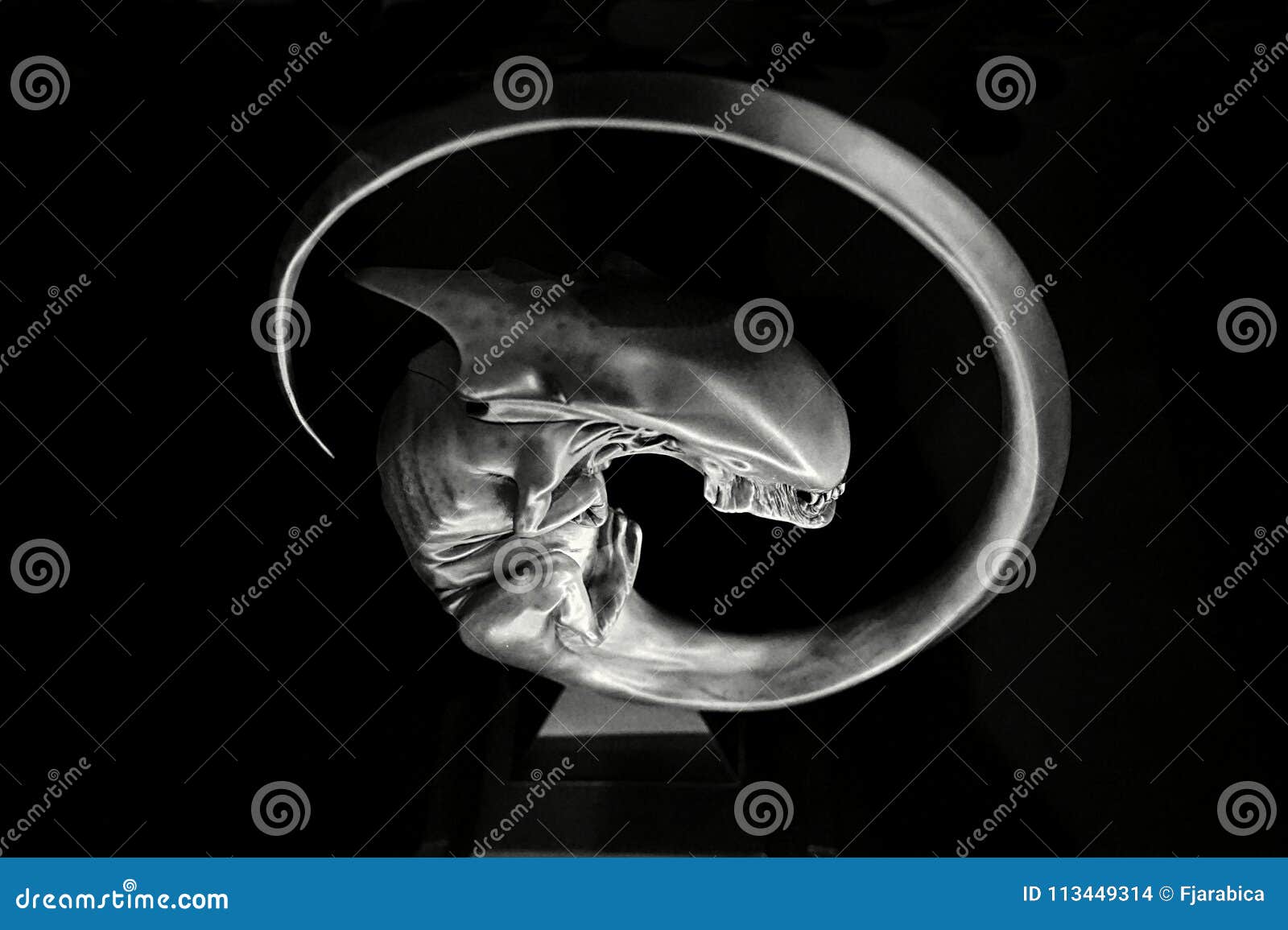 Alien vs. predator editorial stock image. Image of museum - 113449314