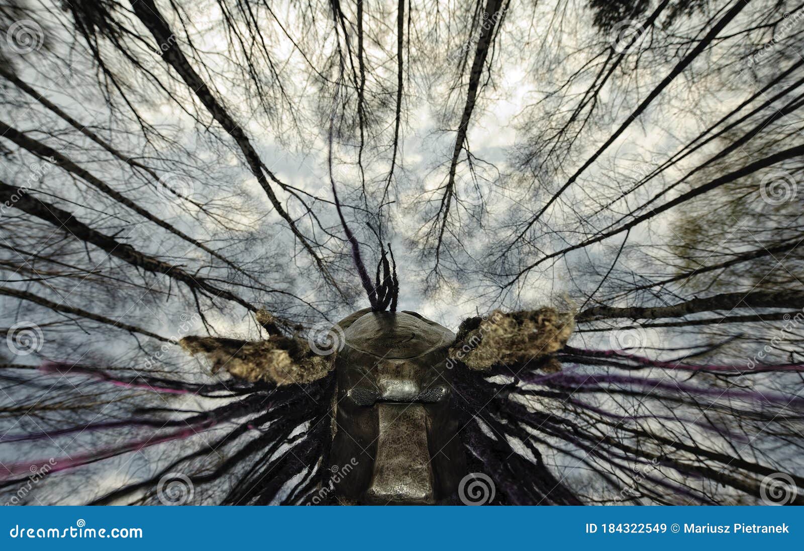 Predator in the Forest, Predator Mask Stock Image - Image of culture ...
