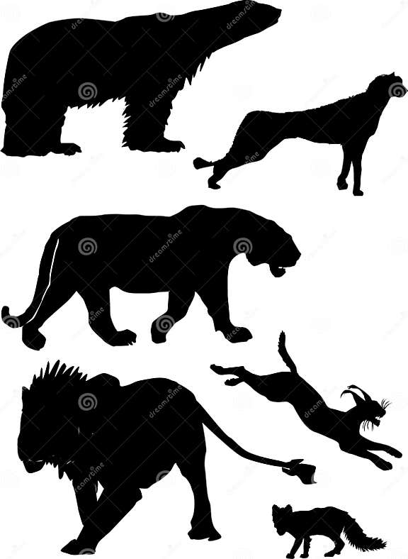 Predator silhouettes stock vector. Illustration of mammal - 3355517