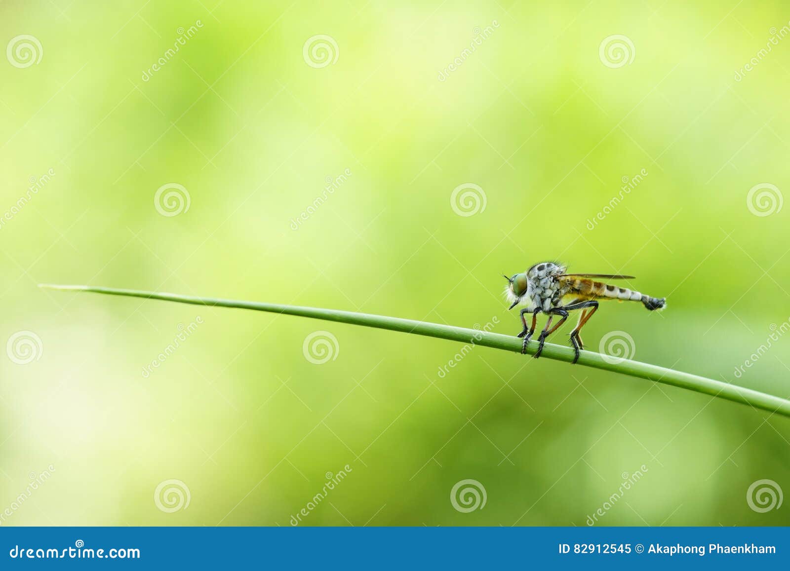 Loof Texture Wallpapers And Background Stock Image | CartoonDealer.com ...