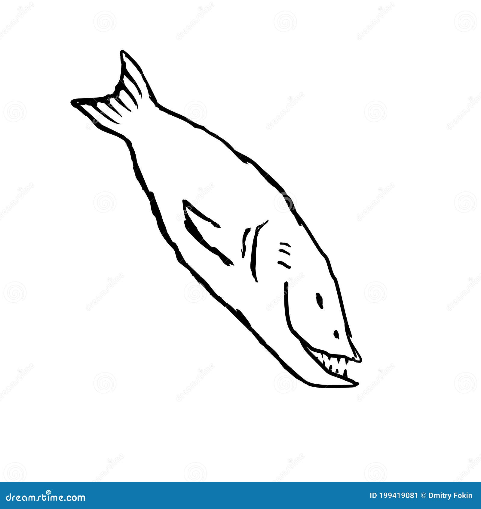 Predatory Fish. Hand Drawn Vector Art in Doodle Style Stock Vector ...