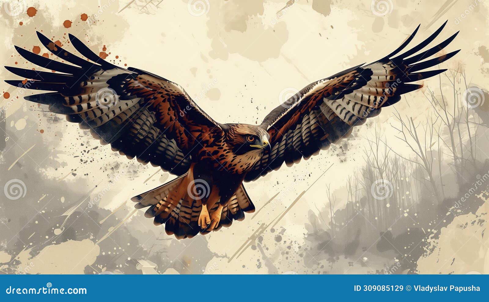 A Hawk Swooping In To Catch Its Prey Stock Photography | CartoonDealer ...