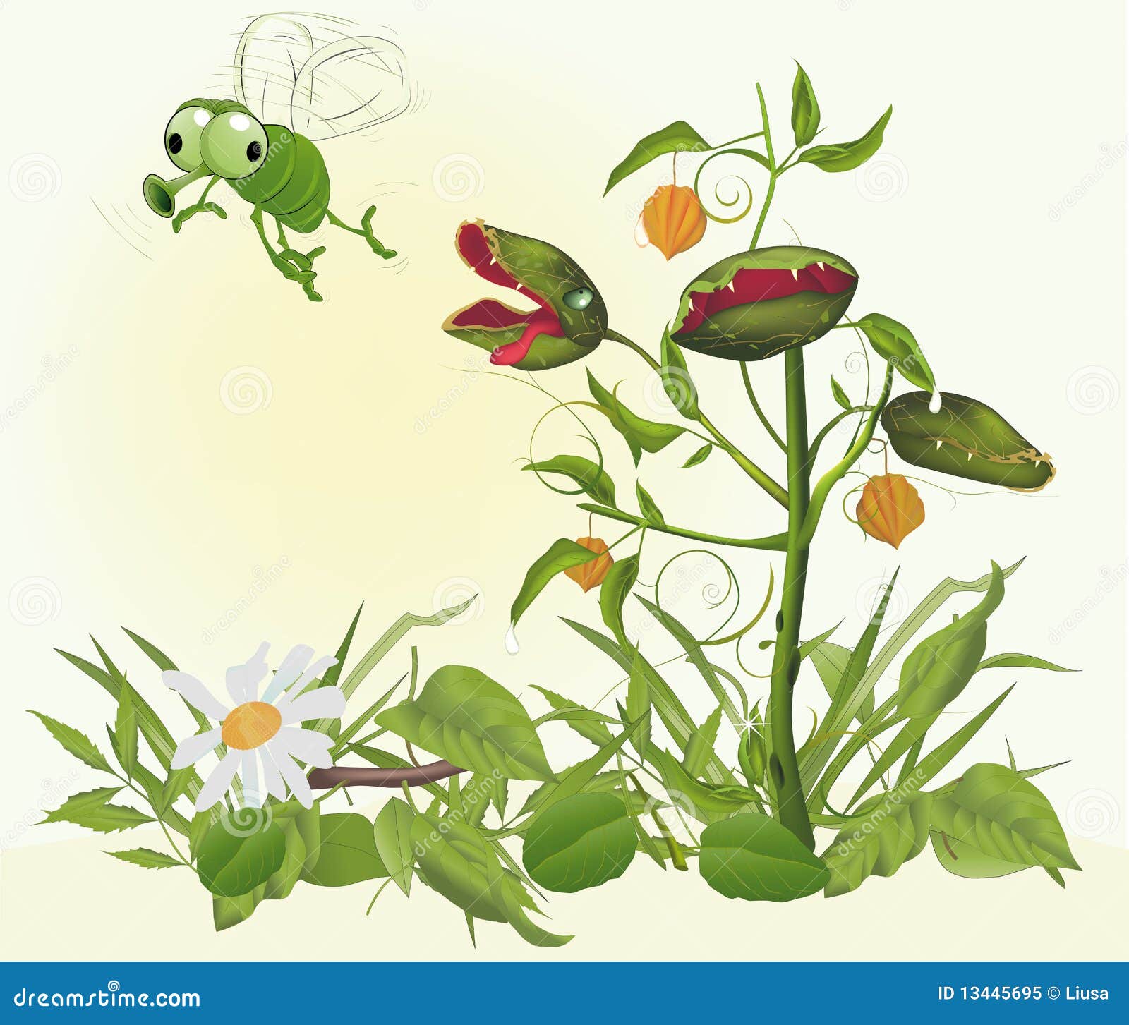 Predatory Plant Catching an Insect Stock Vector - Illustration of drops ...