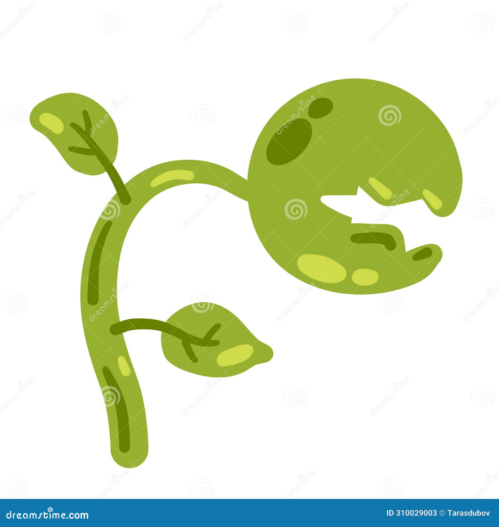 Predatory Plant. Venus Flytrap. Flycatcher Flower with Teeth Stock ...