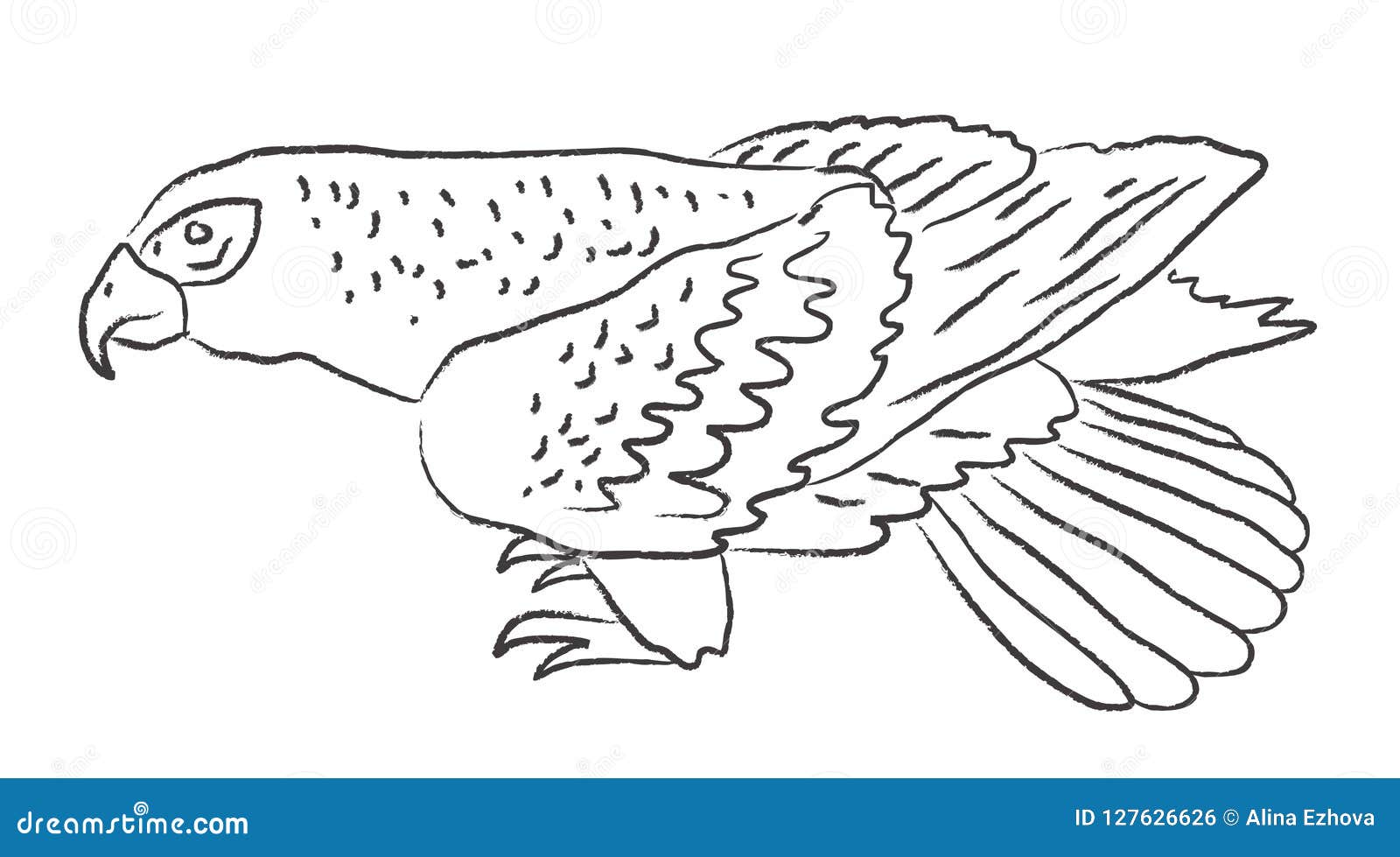 Predatory Wild Bird. Sketch. Vector. Stock Vector - Illustration of ...